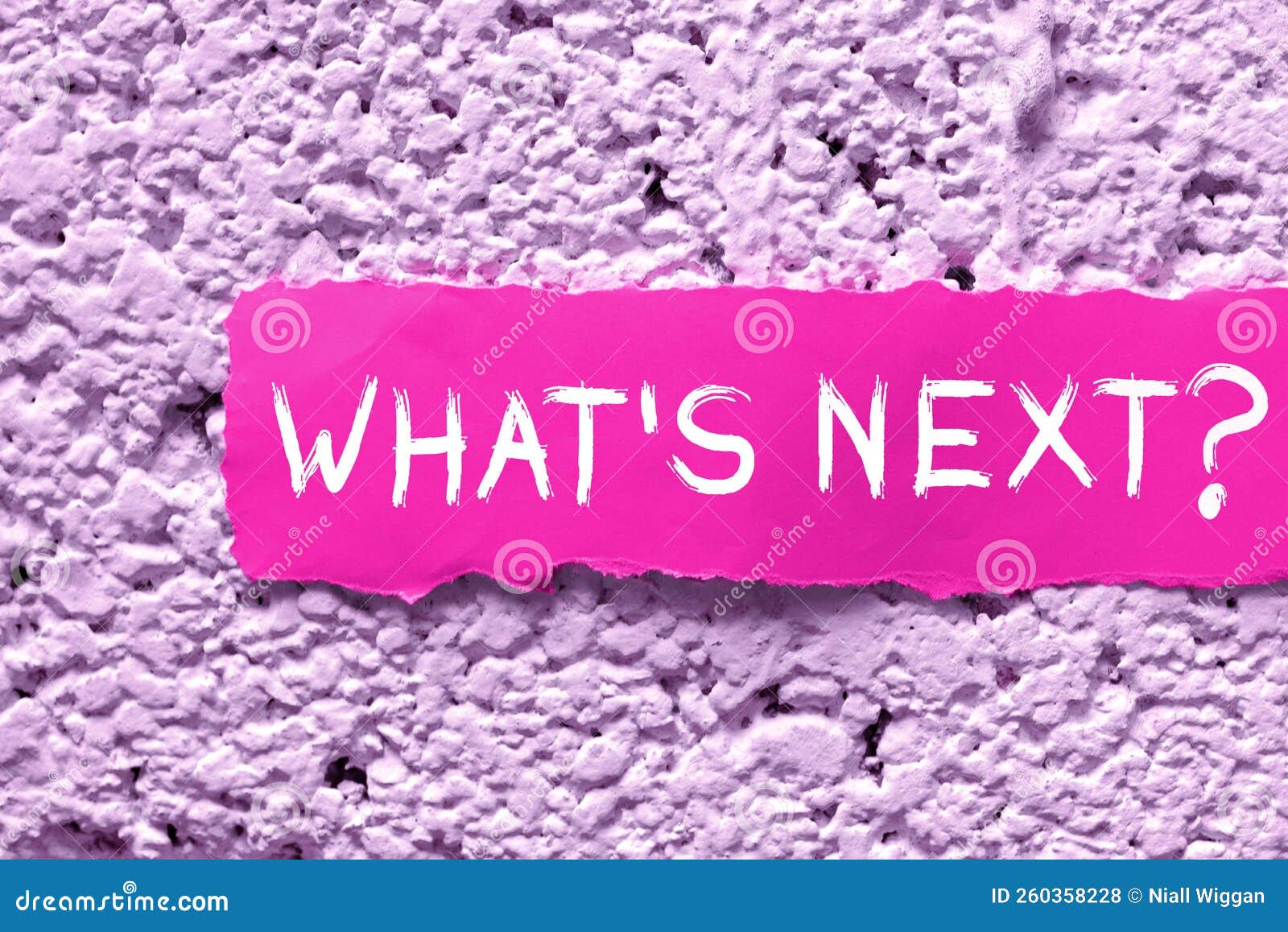 Text Sign Showing Whats Next Question. Business Approach Expecting Any ... Text Sign Showing Whats Next Question. Business Approach Expecting Any ...