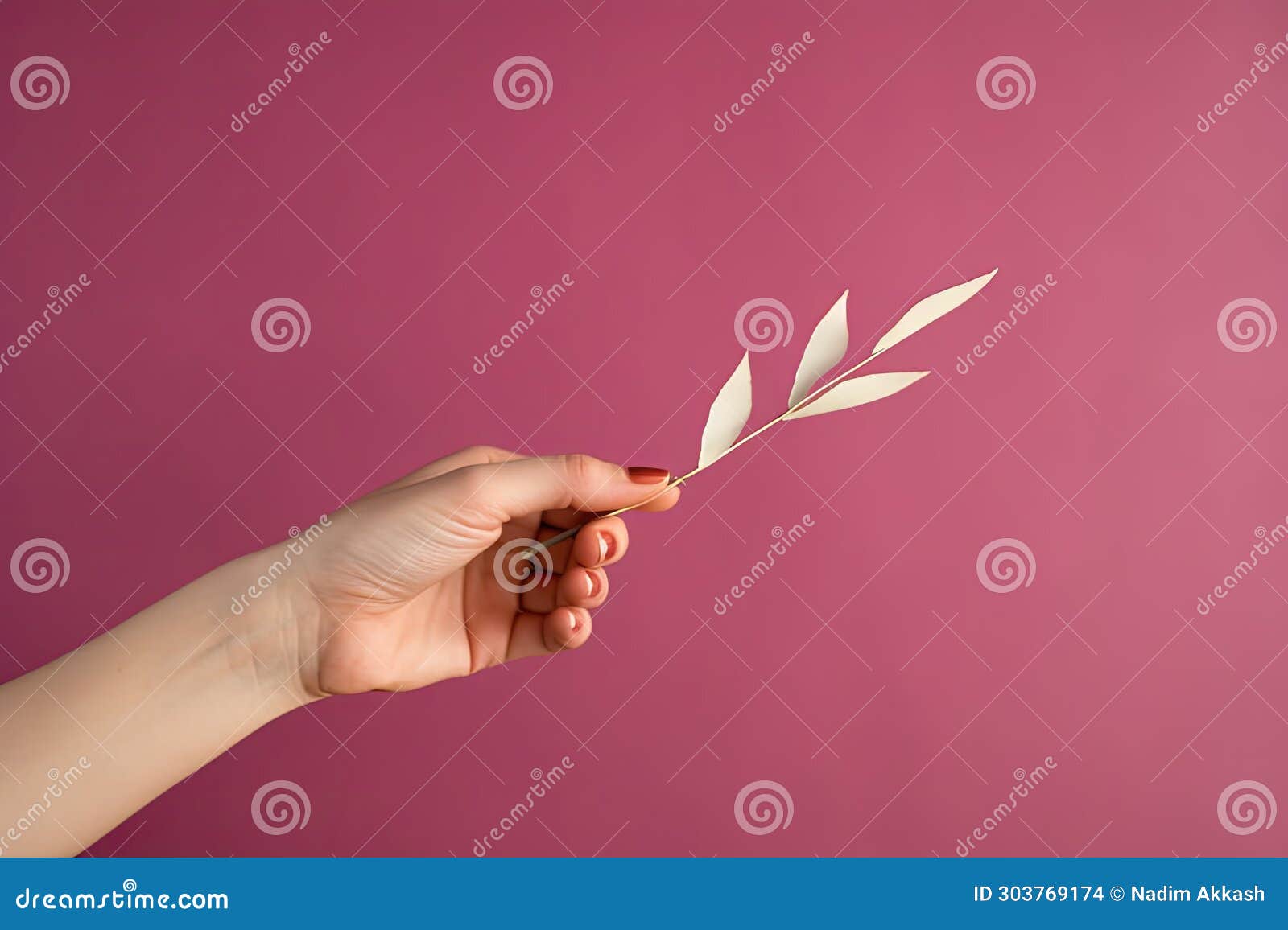 Text Space Copy Background Colored Pink Development Success Growth