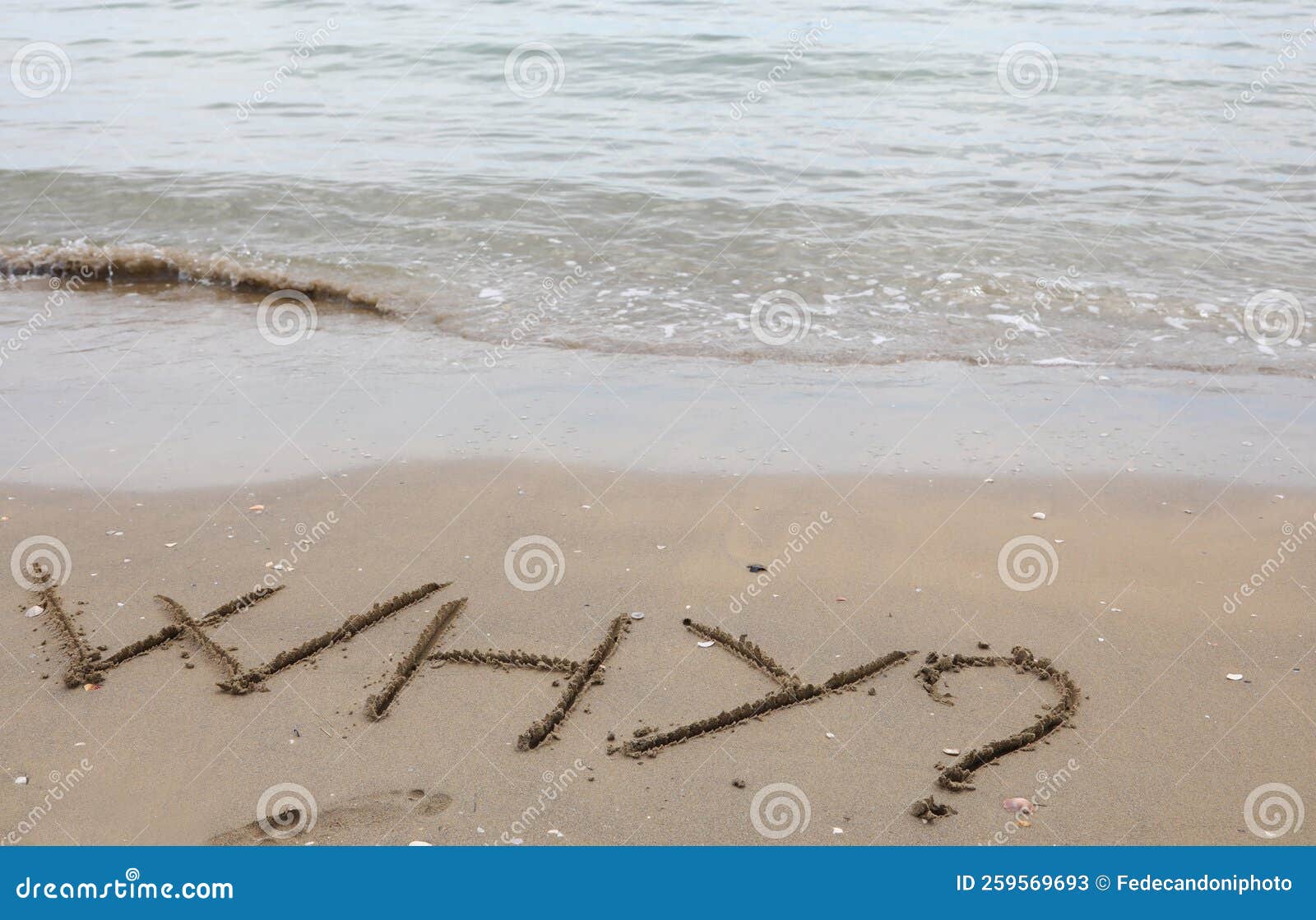 Text with WHY and the Question Mark on the Shore of the Beach Stock ...