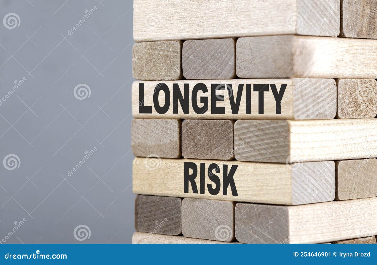 The Text on the Wooden Blocks LONGEVITY RISK Stock Image - Image of ...