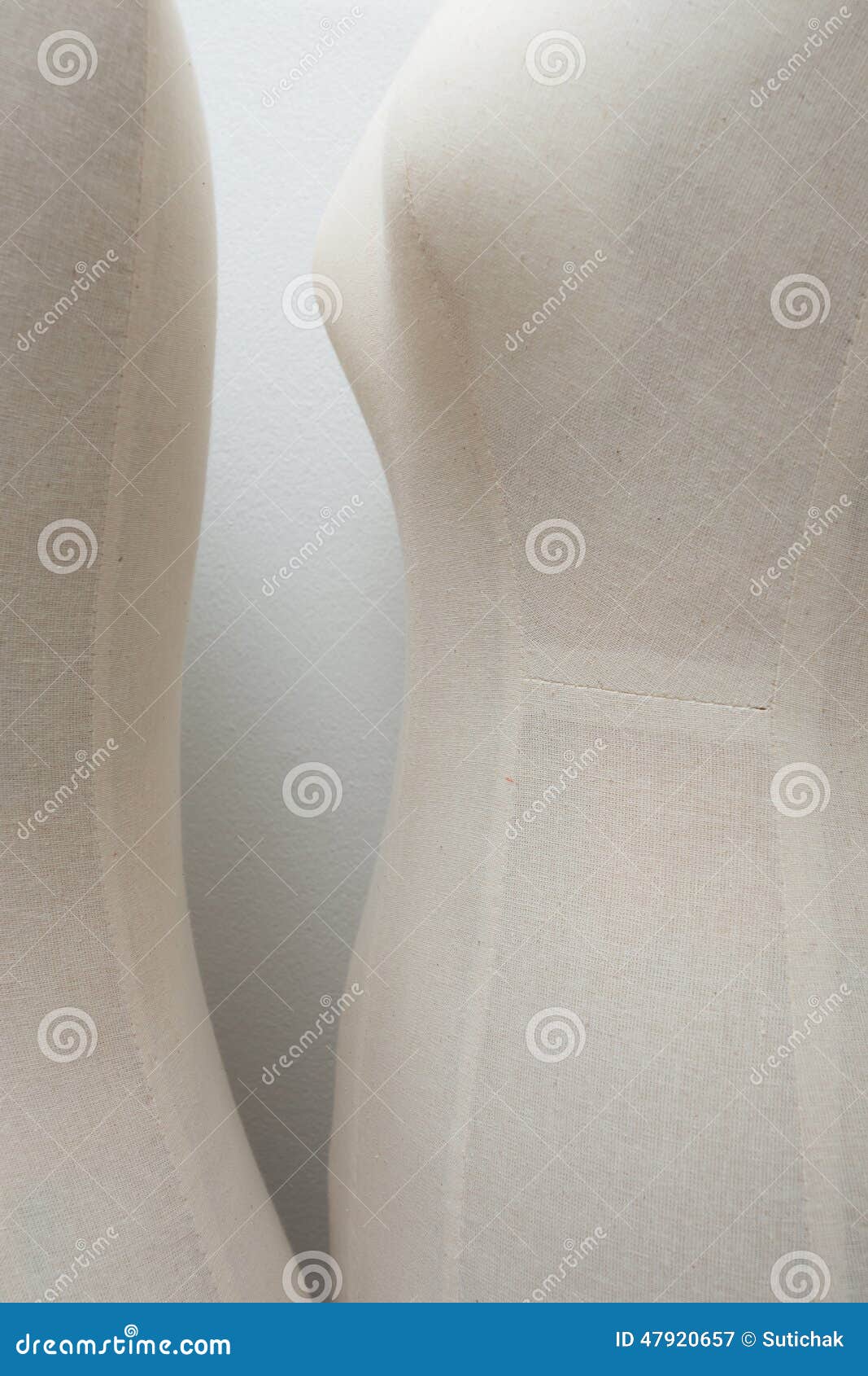 Female Dummy Royalty-Free Stock Photography | CartoonDealer.com #13330463