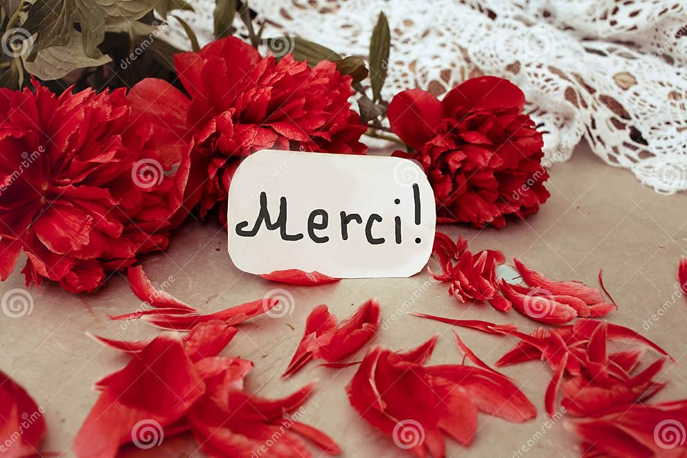 Texto - merci imagen de archivo. Imagen de pétalo, saludo - 54435567