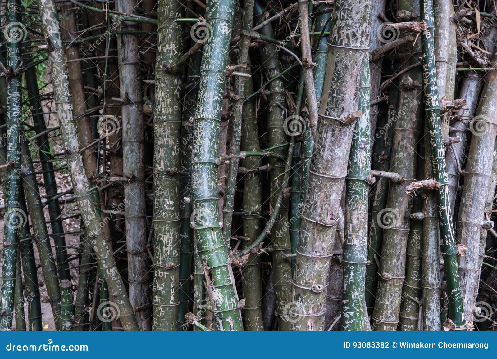 Texto que grava ao bambu foto de stock. Imagem de projeto - 93083382