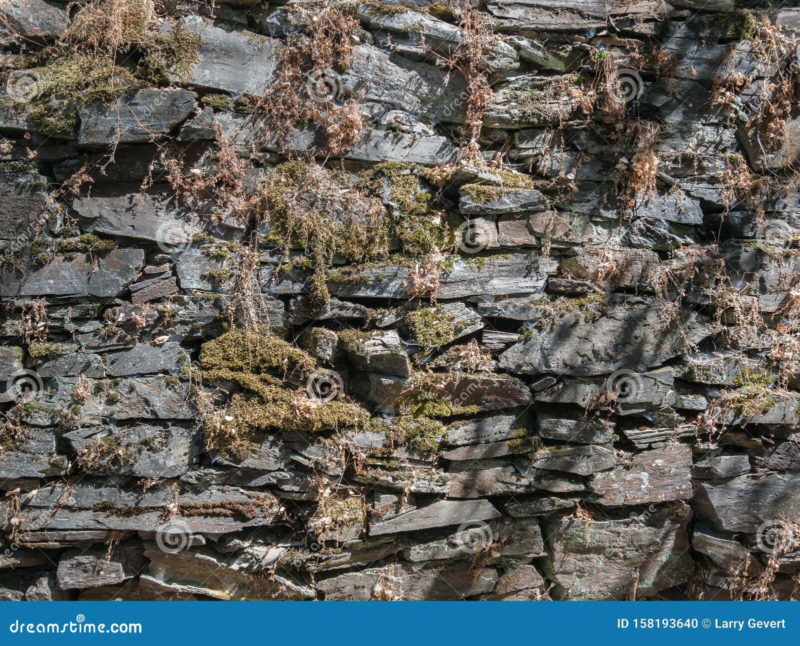 Textos Y Colores, Paredes Rocosas Foto de archivo - Imagen de concreto ...