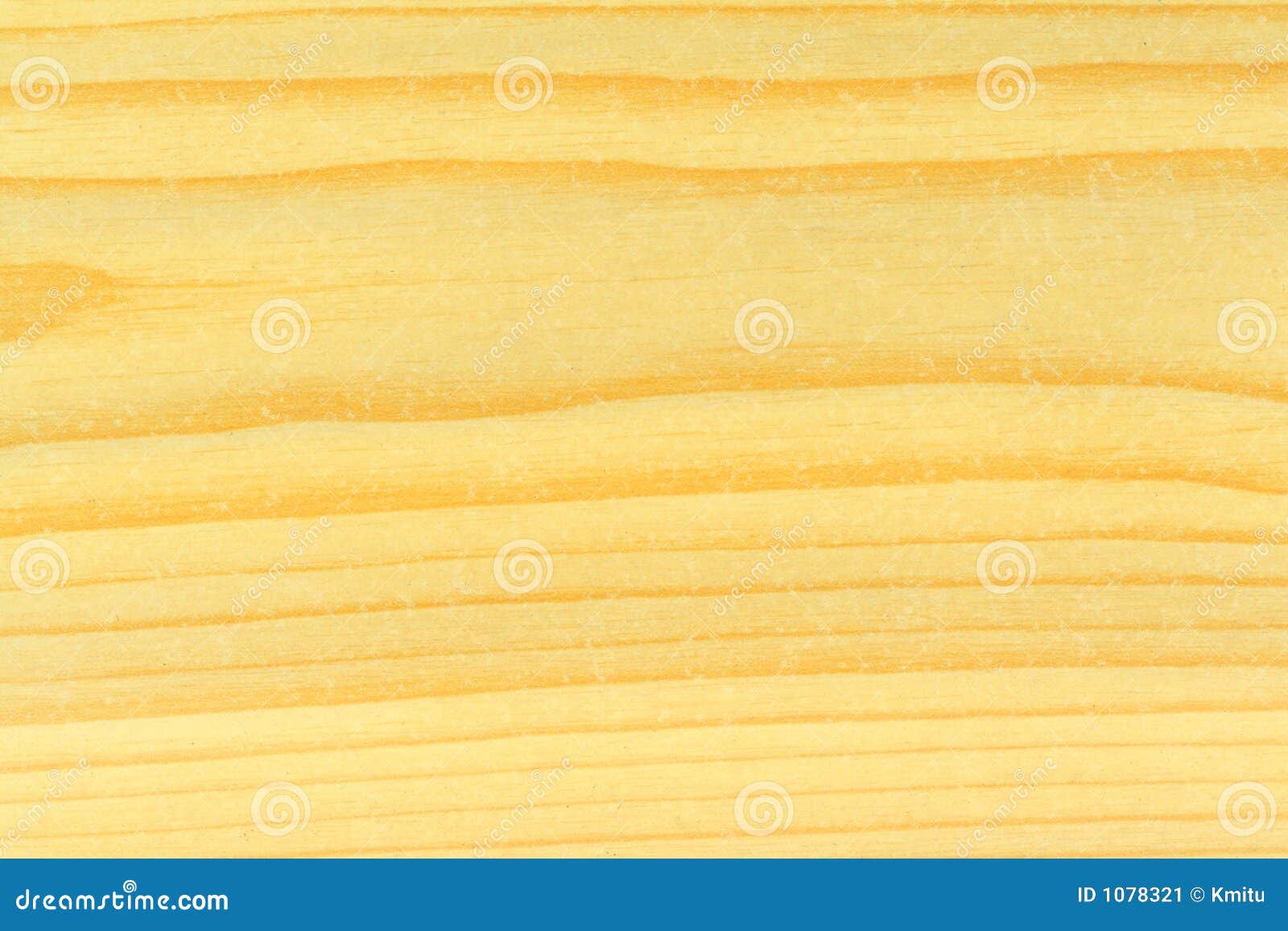 Textura Brilhante Da Madeira De Pinho Imagem de Stock - Imagem de porta ...