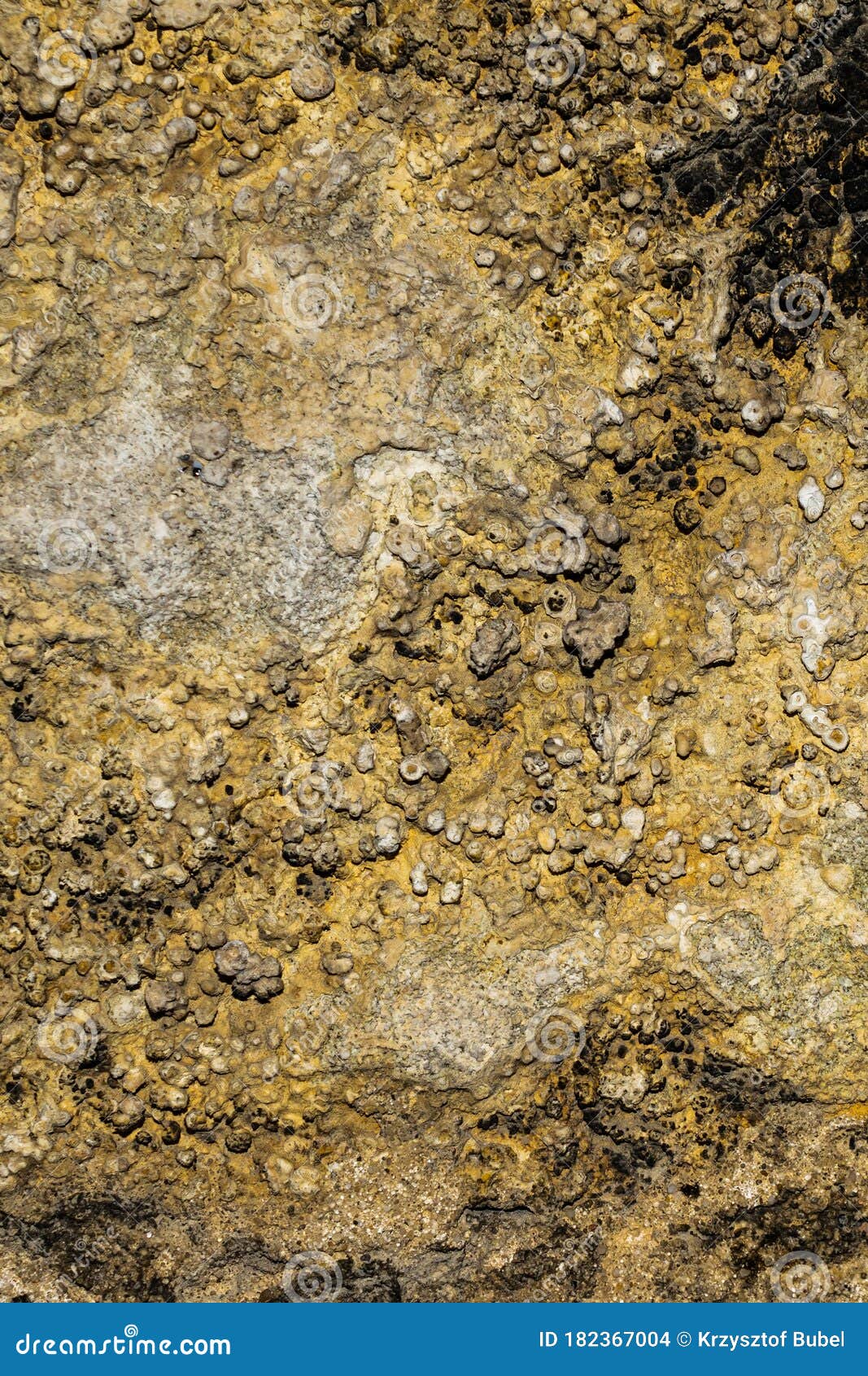 Textura Caliza Utilizable Como Textura O Fondo Foto de archivo - Imagen ...