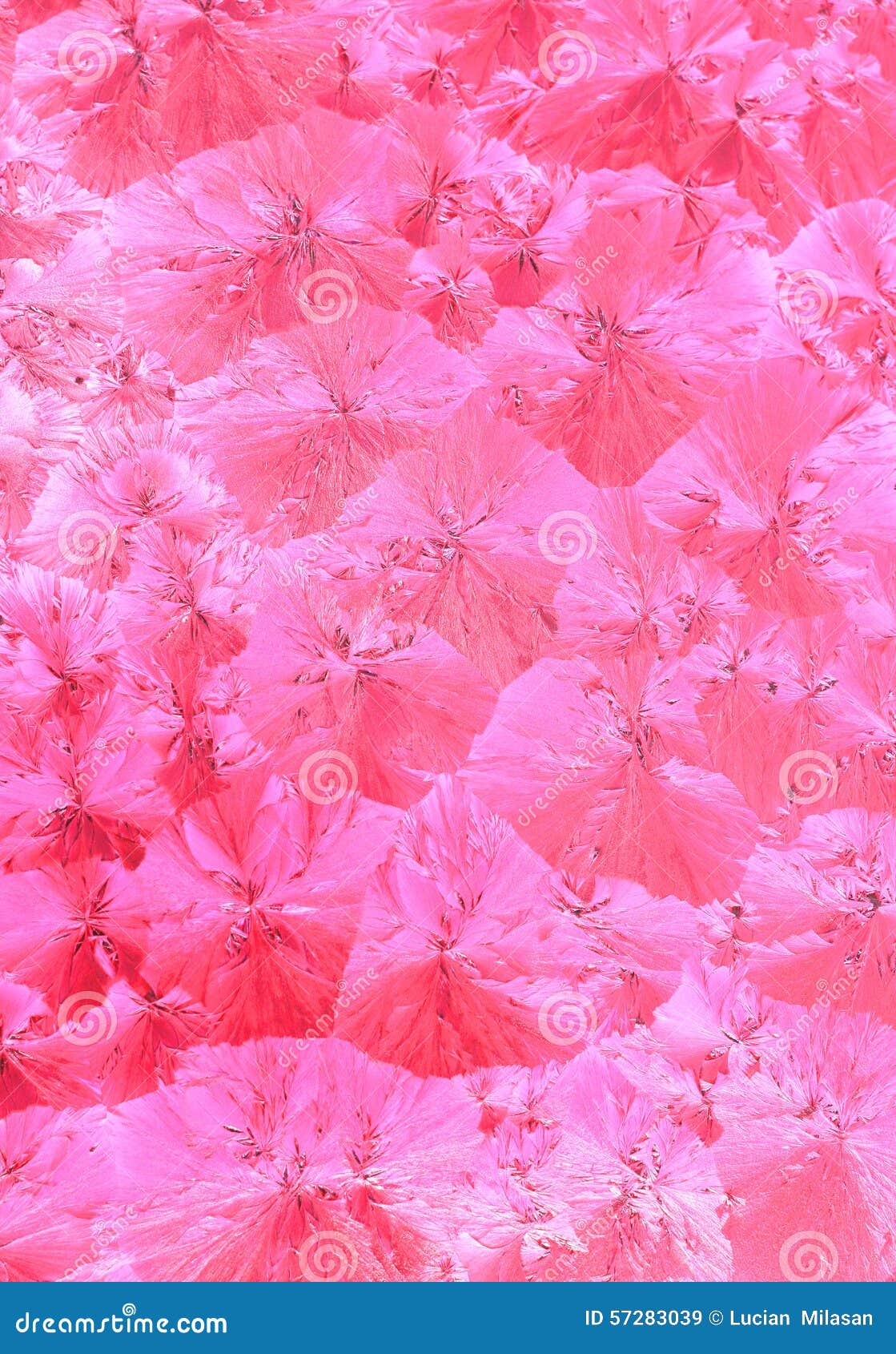 Textura cor-de-rosa imagem de stock. Imagem de ônix, lustroso - 57283039