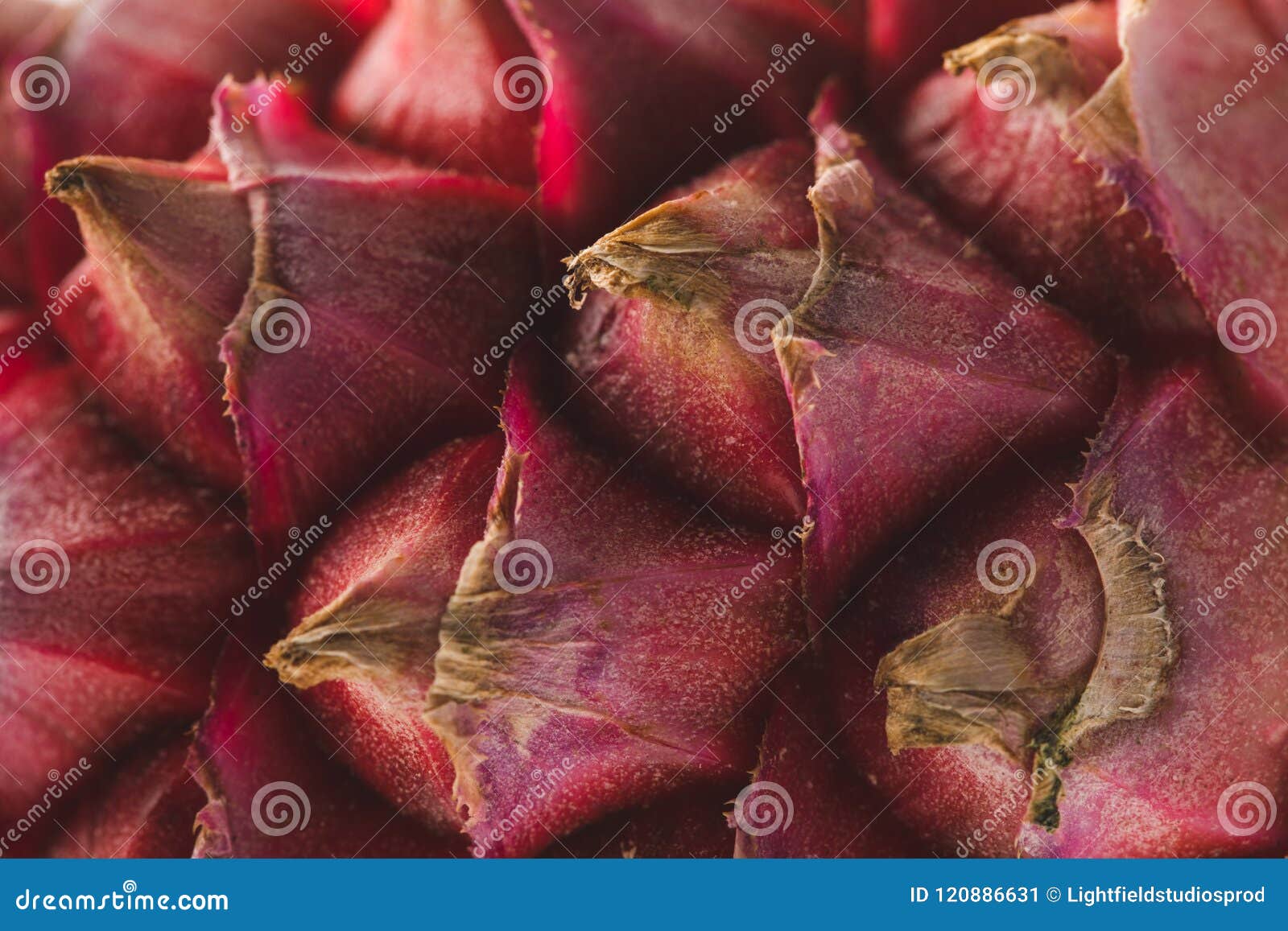 Textura Cor-de-rosa Do Close Up Do Abacaxi Imagem de Stock - Imagem de ...