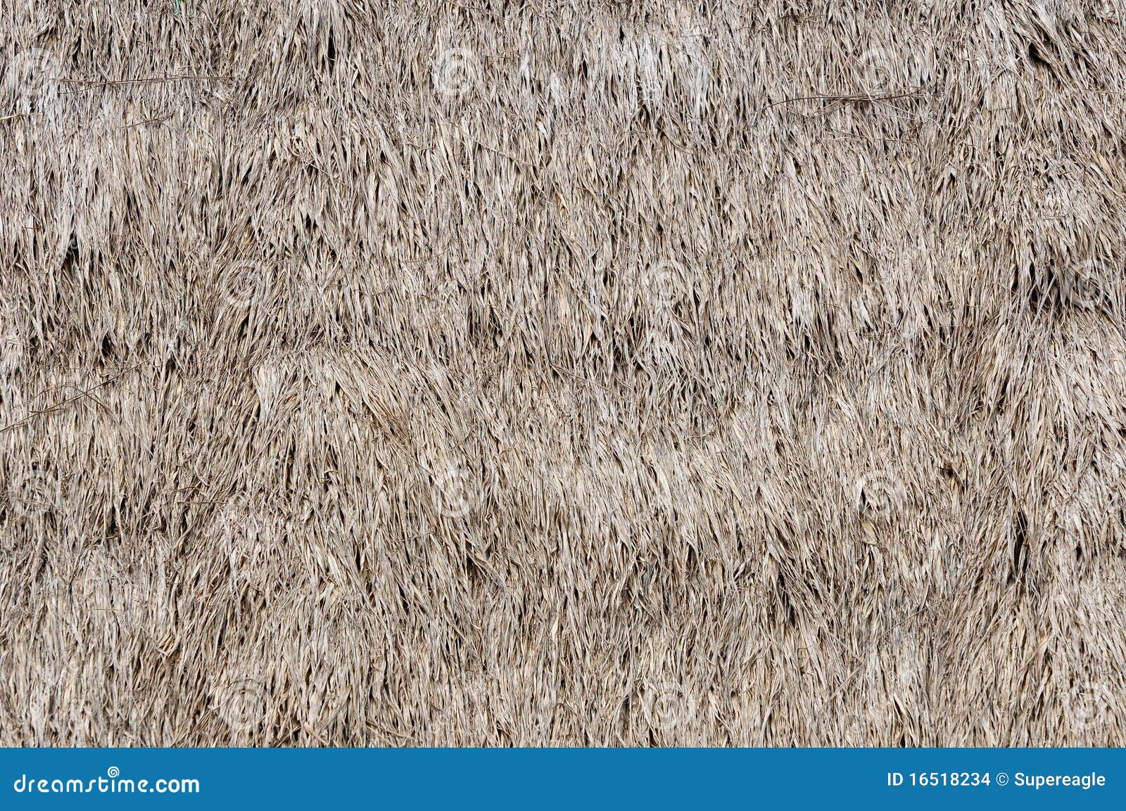 Textura cubierta con paja foto de archivo. Imagen de belleza - 16518234