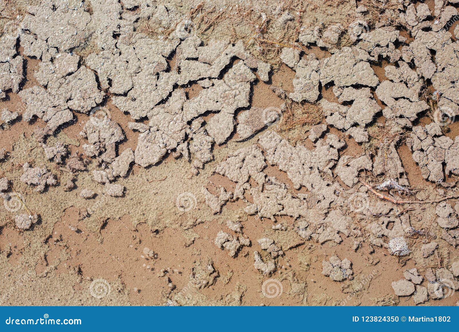 Textura da argila molhada foto de stock. Imagem de lama - 123824350