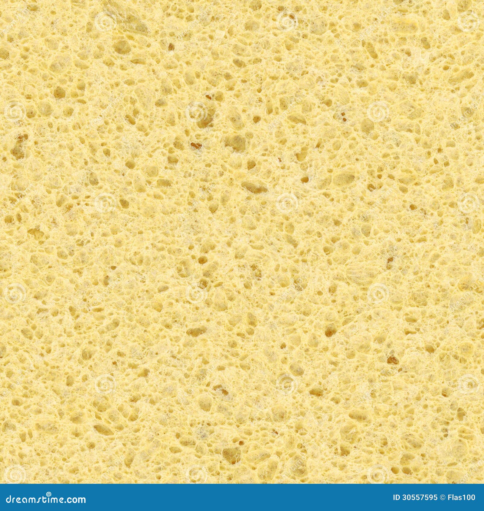 Textura da esponja imagem de stock. Imagem de fundo, objeto - 30557595