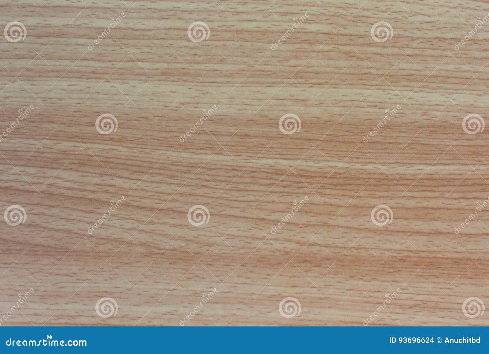 Textura Da Estratificação Da Madeira De Faia Foto de Stock - Imagem de ...