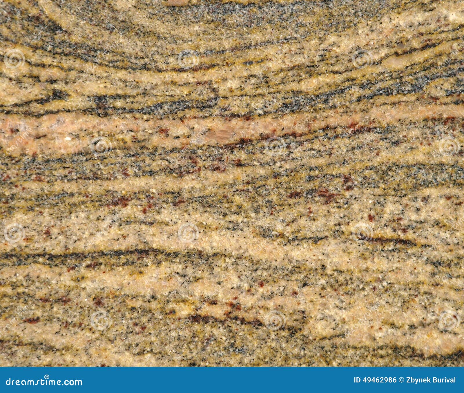 Textura Da Laje Da Rocha De Migmatite Foto de Stock - Imagem de mineral ...