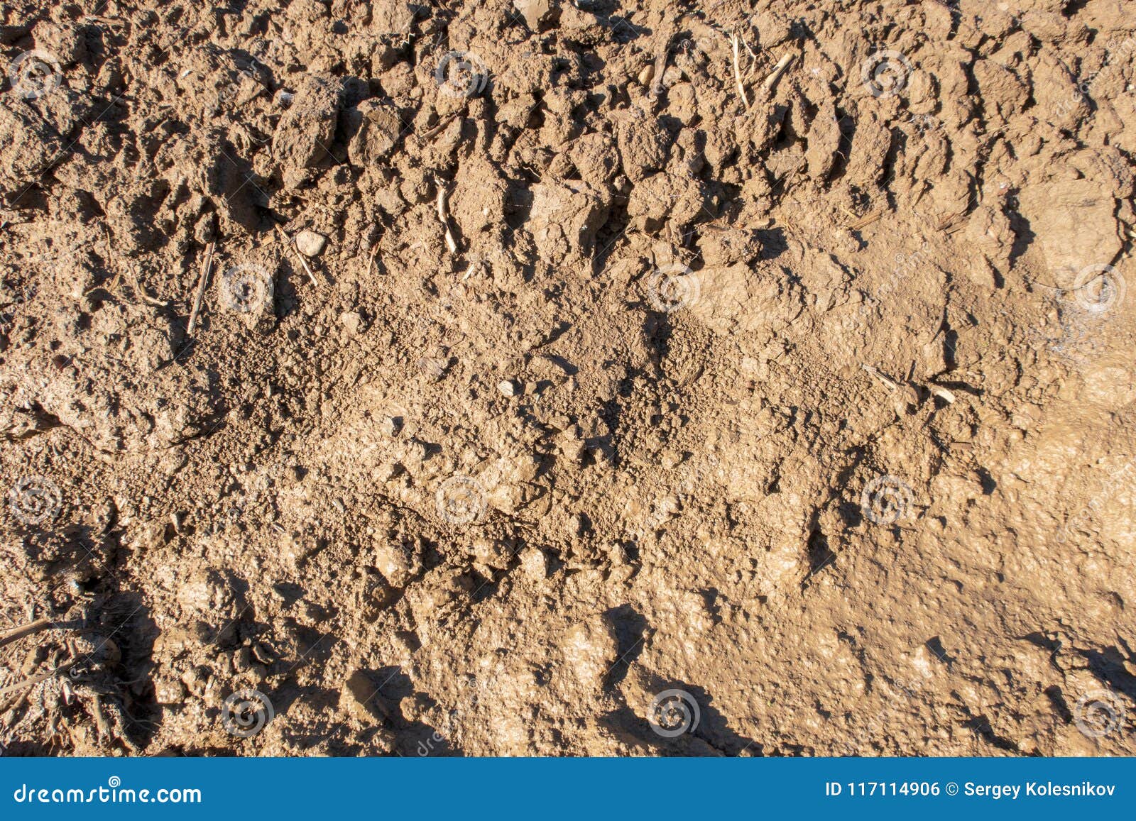 A textura da lama foto de stock. Imagem de chuvoso, lama - 117114906