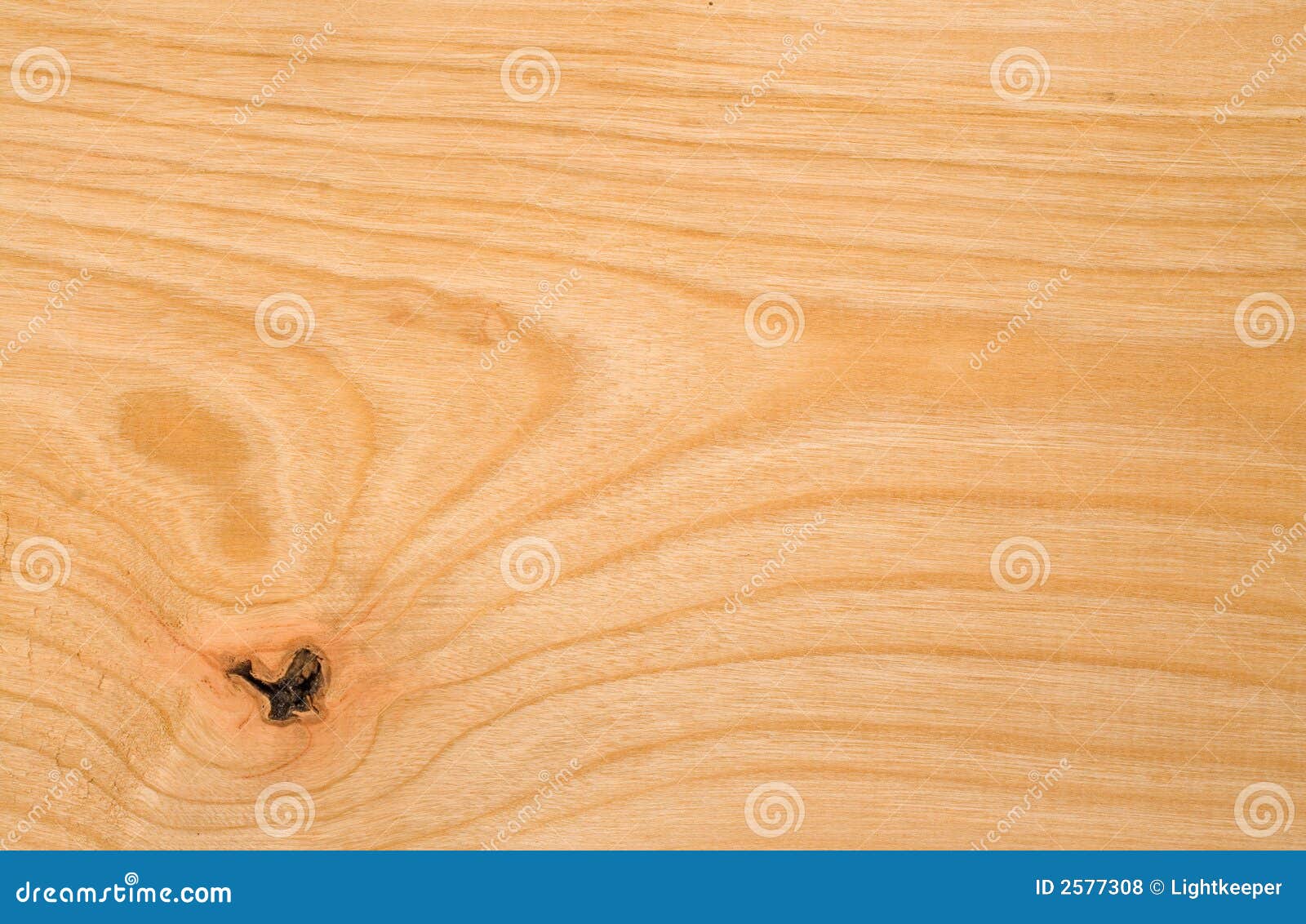 Textura da madeira de faia foto de stock. Imagem de faia - 2577308