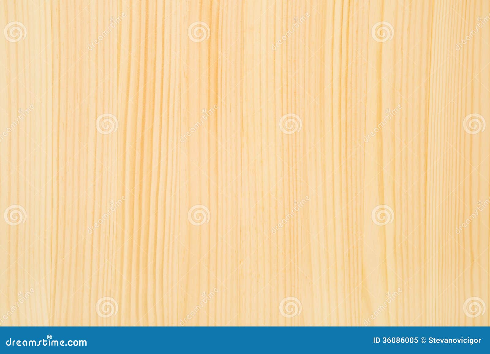 Textura da madeira de faia imagem de stock. Imagem de madeira - 36086005