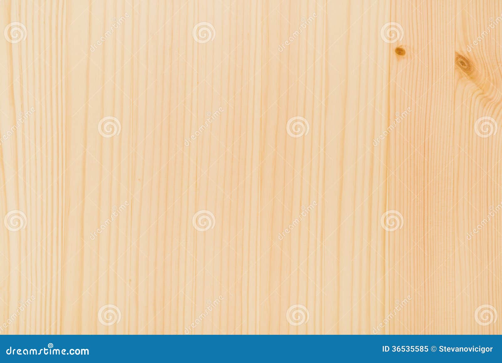 Textura da madeira de faia imagem de stock. Imagem de amostra - 36535585