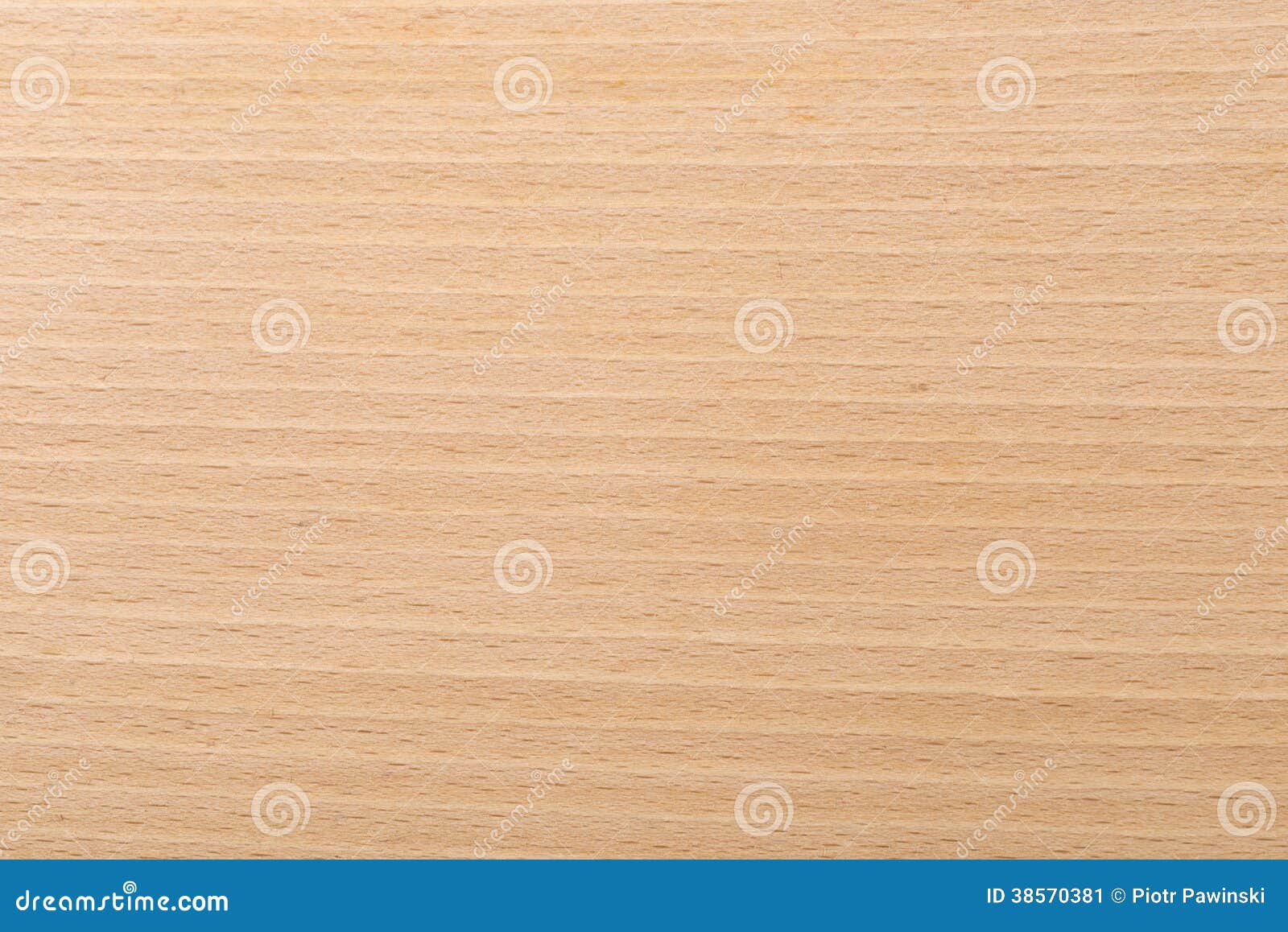 Textura da madeira de faia imagem de stock. Imagem de mesa - 38570381