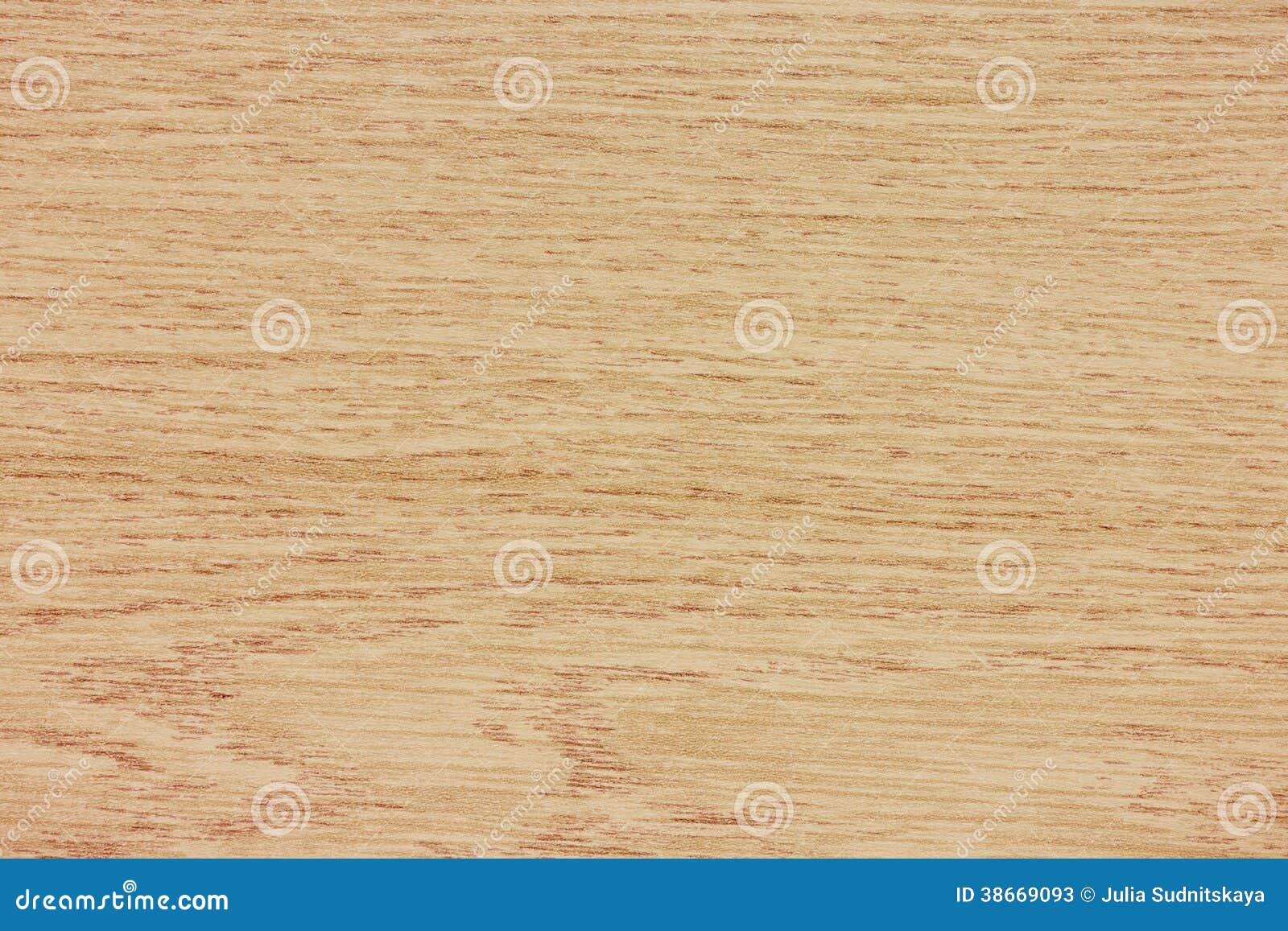 Textura da madeira de faia imagem de stock. Imagem de real - 38669093