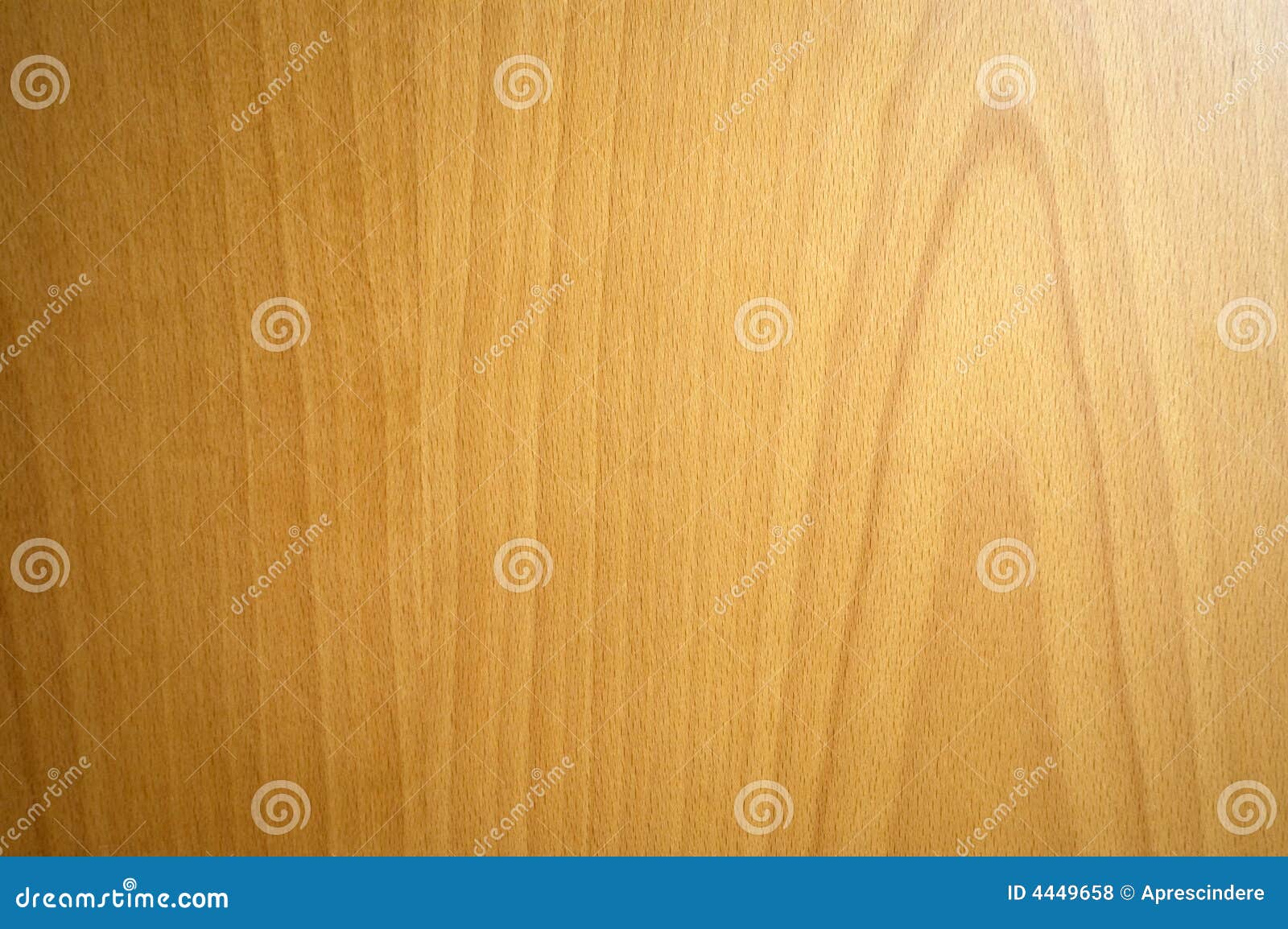 Textura da madeira de faia foto de stock. Imagem de assoalho - 4449658