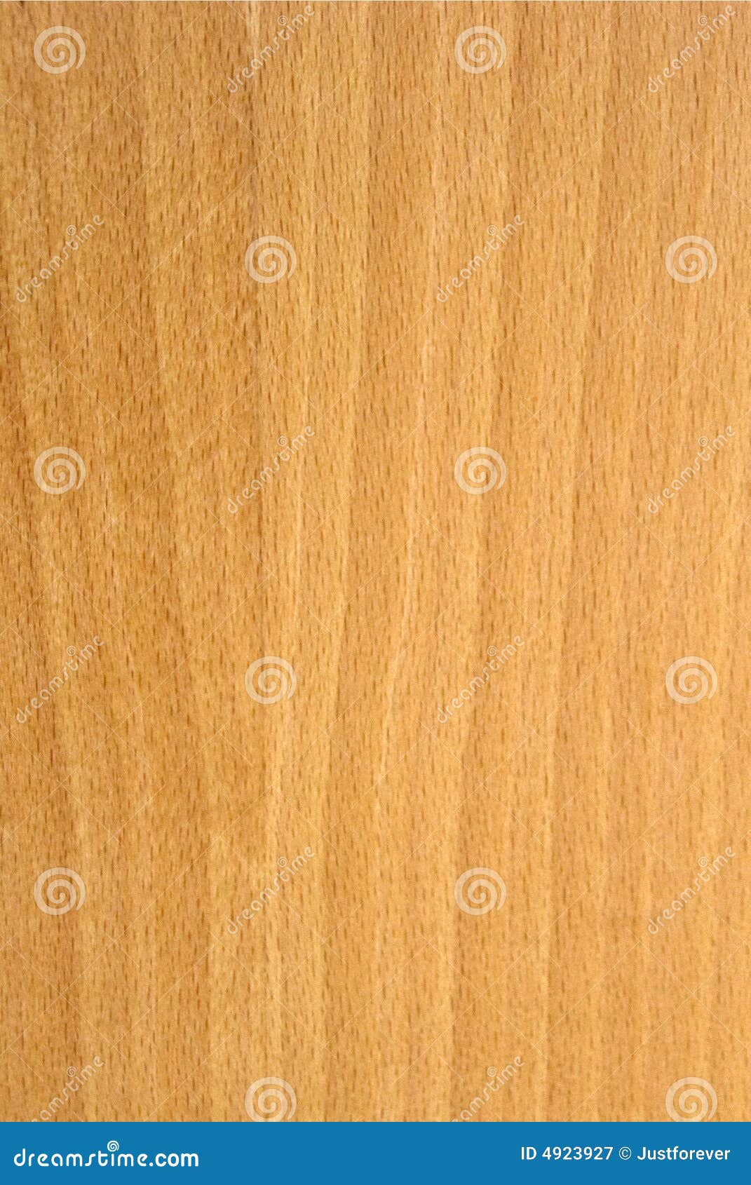 Textura da madeira de faia imagem de stock. Imagem de marrom - 4923927