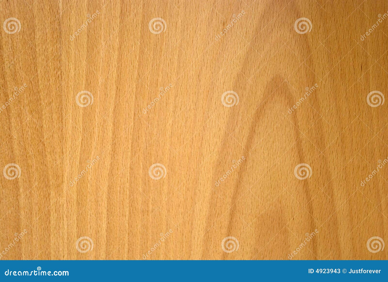 Textura da madeira de faia imagem de stock. Imagem de casa - 4923943