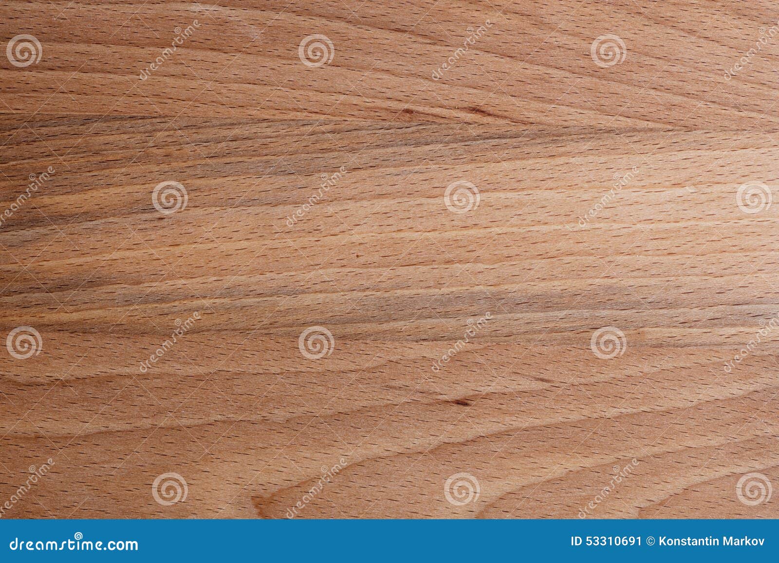 Textura da madeira de faia imagem de stock. Imagem de completamente ...