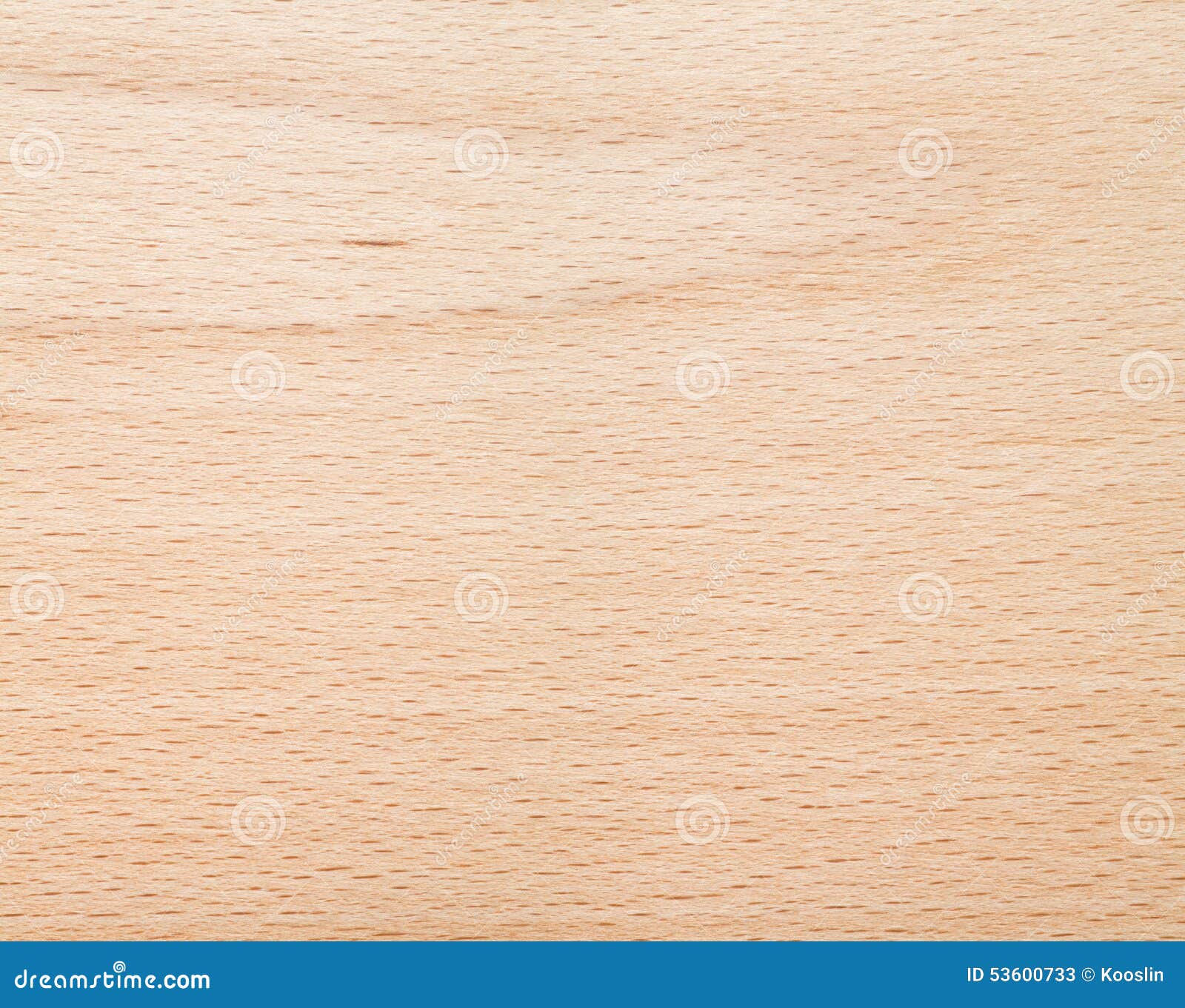 Textura da madeira de faia imagem de stock. Imagem de projeto - 53600733