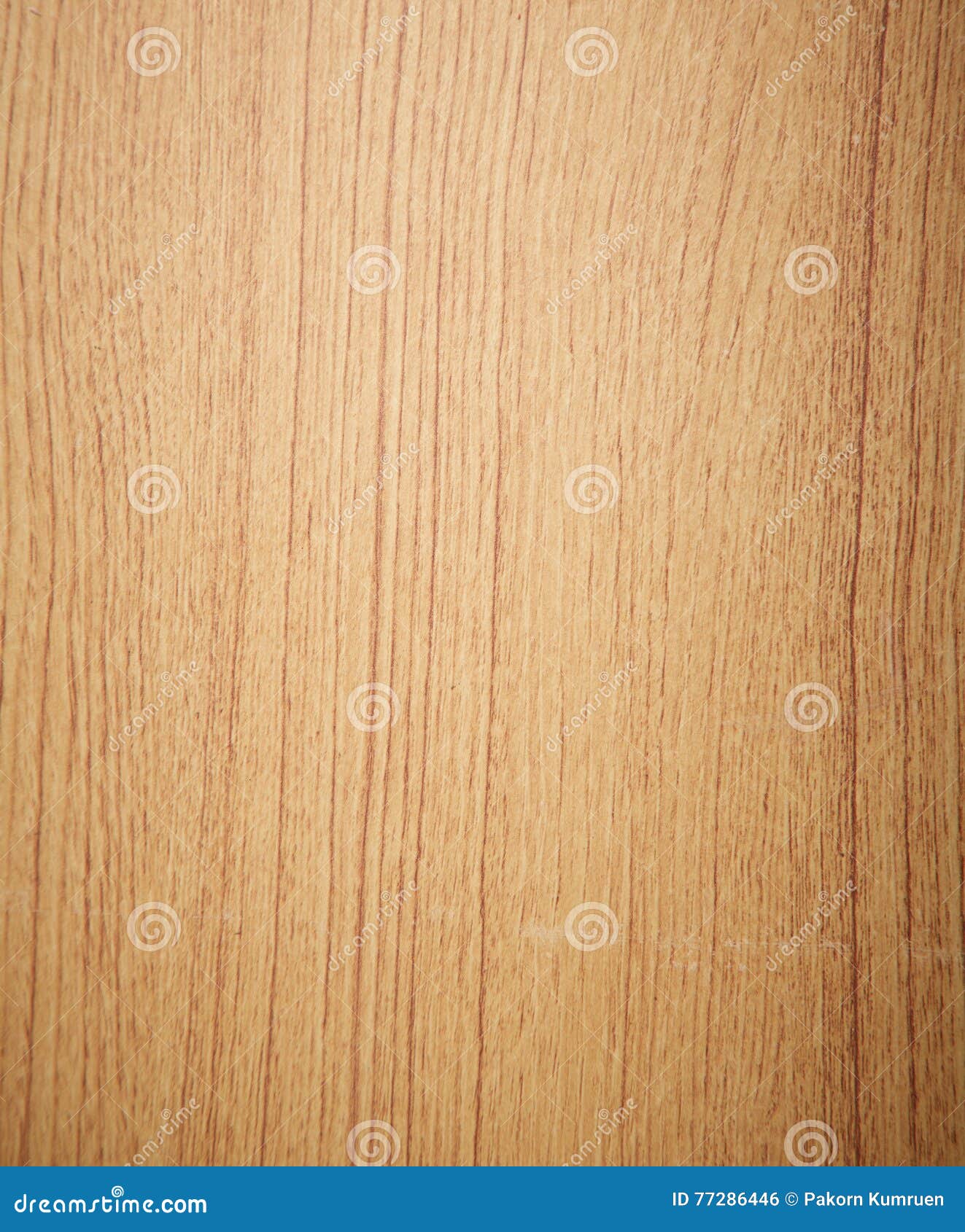 Textura da madeira de faia foto de stock. Imagem de amostra - 77286446