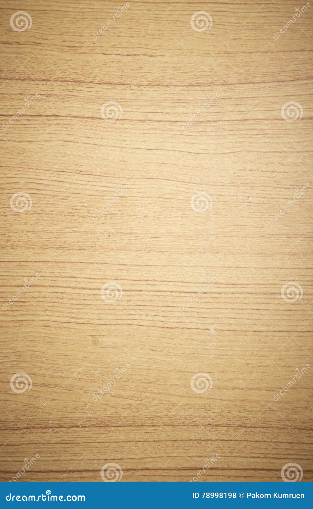 Textura da madeira de faia foto de stock. Imagem de fundo - 78998198