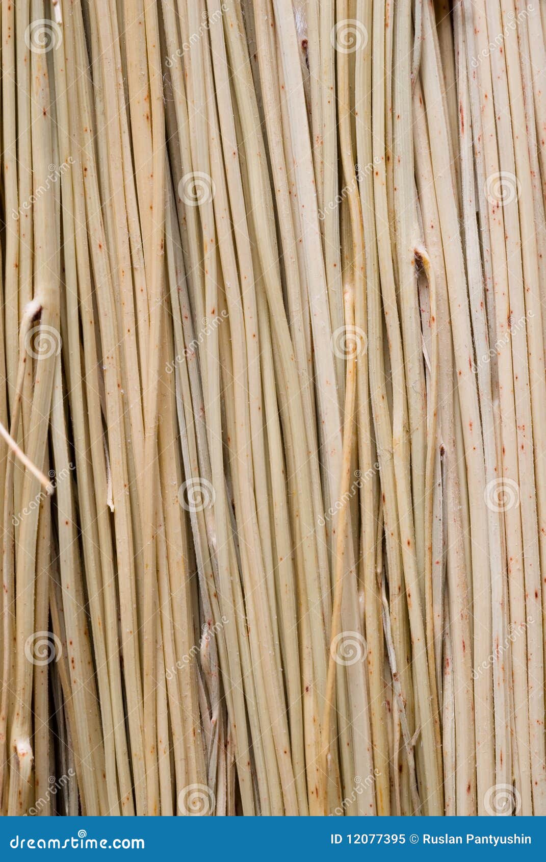 Textura da palha imagem de stock. Imagem de palha, fundo - 12077395