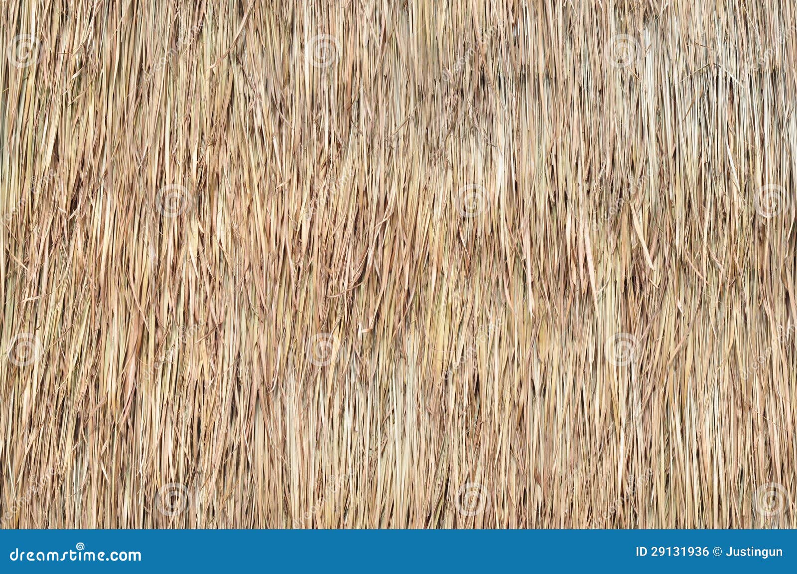 Textura da palha foto de stock. Imagem de sazonal, marrom - 29131936