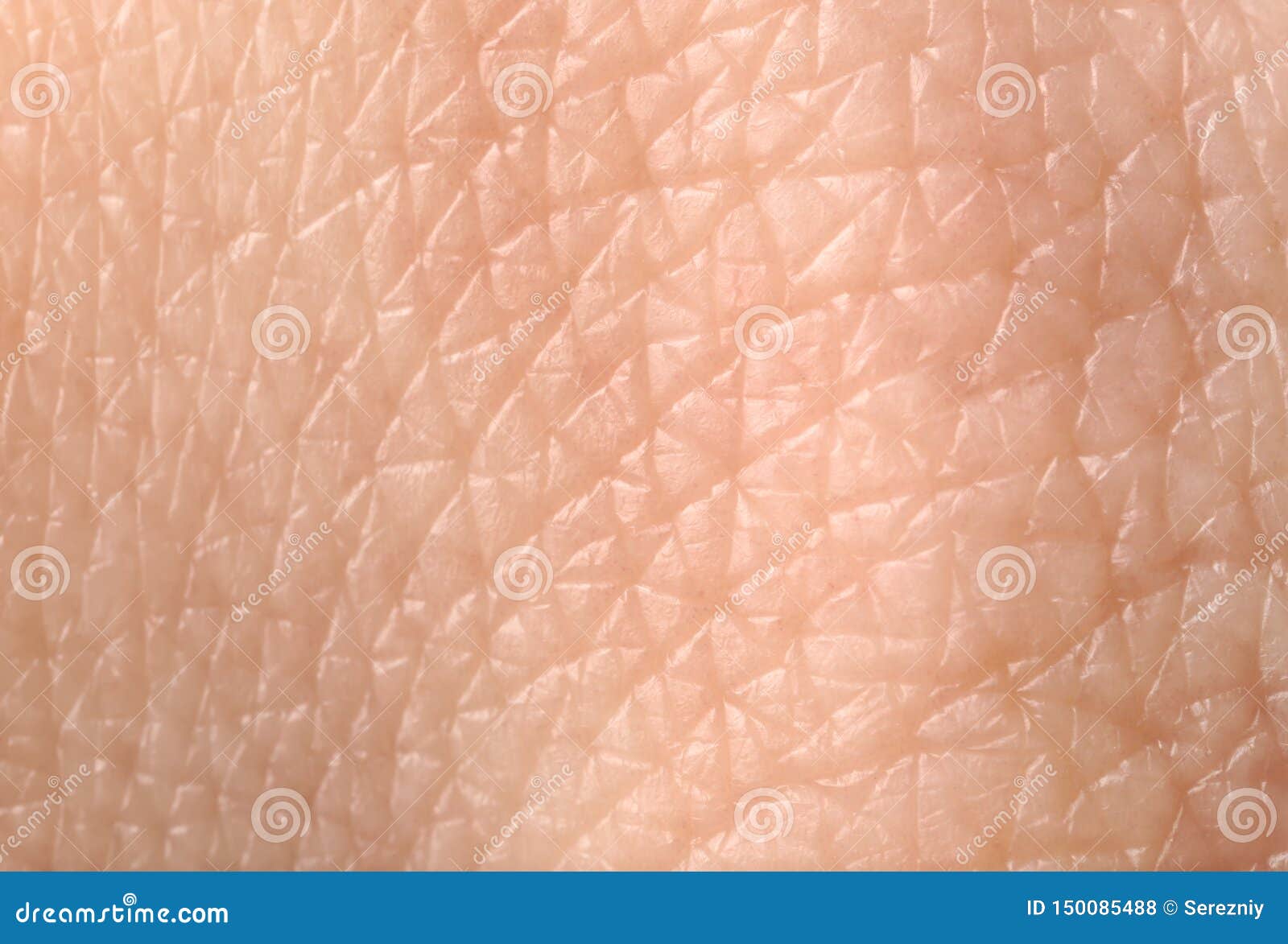 Textura Da Pele Humana, Close Up Foto de Stock - Imagem de higiene ...
