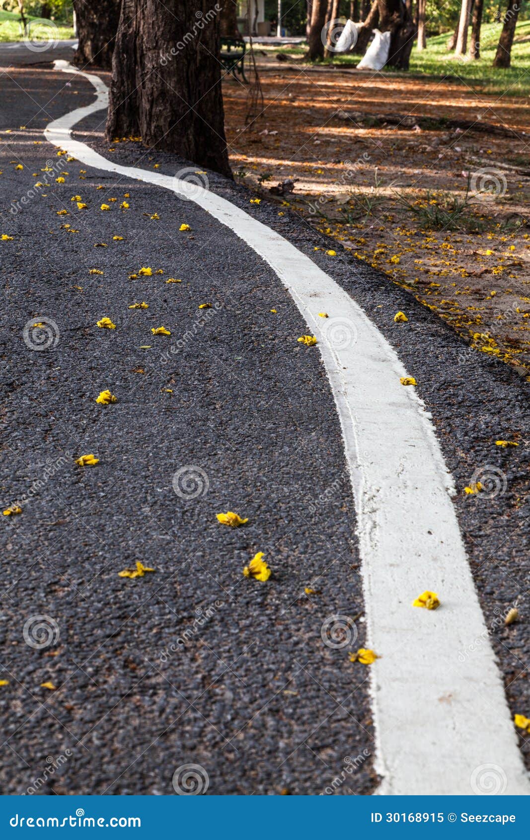A Textura Da Rua Ou Do Asfalto Da Estrada Com Curva Alinha Imagem de ...