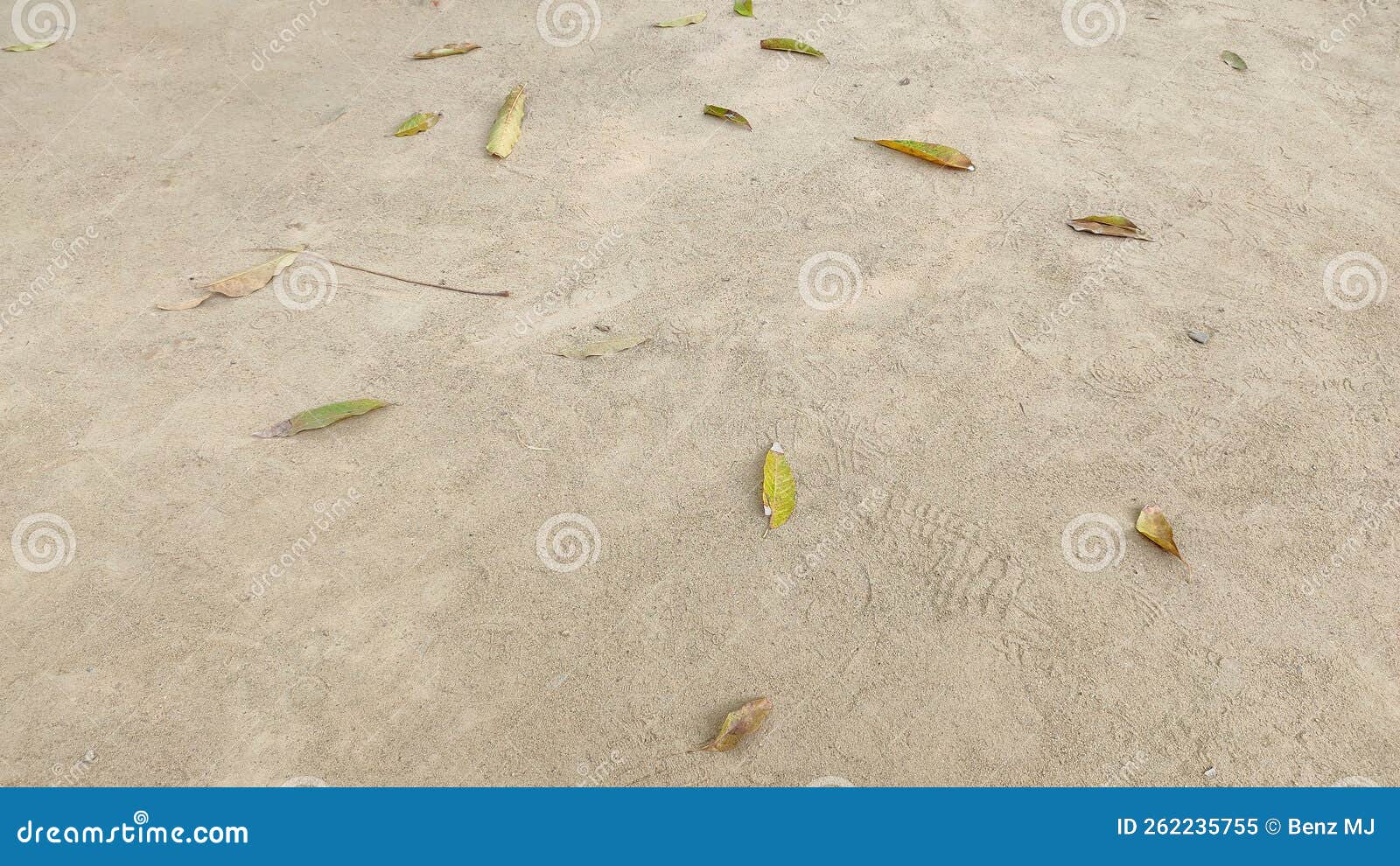 Textura De Arena Con Hojas Secas Sobre Ella Imagen de archivo - Imagen ...
