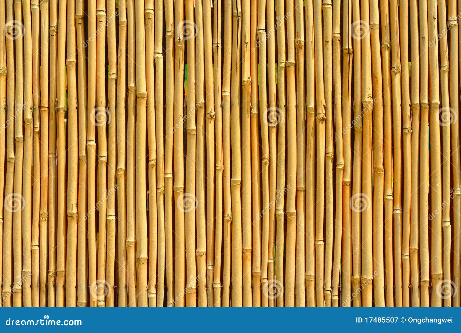 Textura de bambu imagem de stock. Imagem de quadro, madeira - 17485507