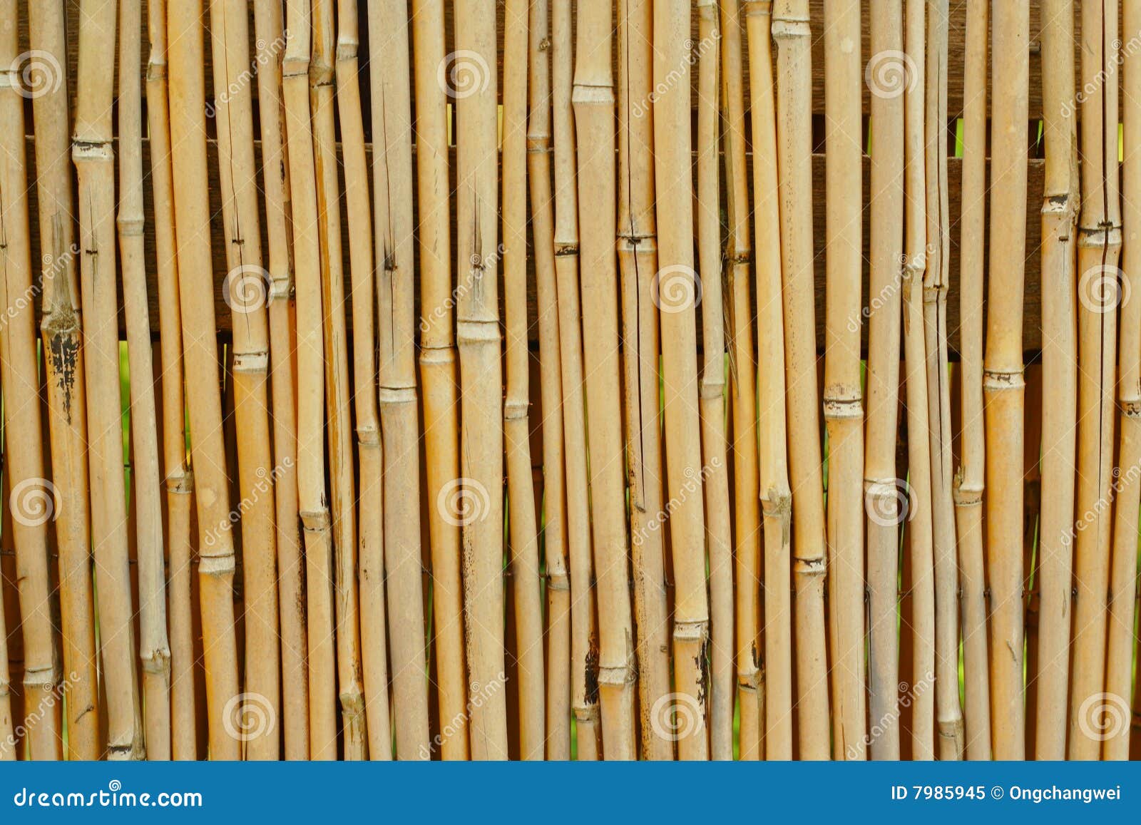 Textura de bambu imagem de stock. Imagem de hardwood, fundo - 7985945