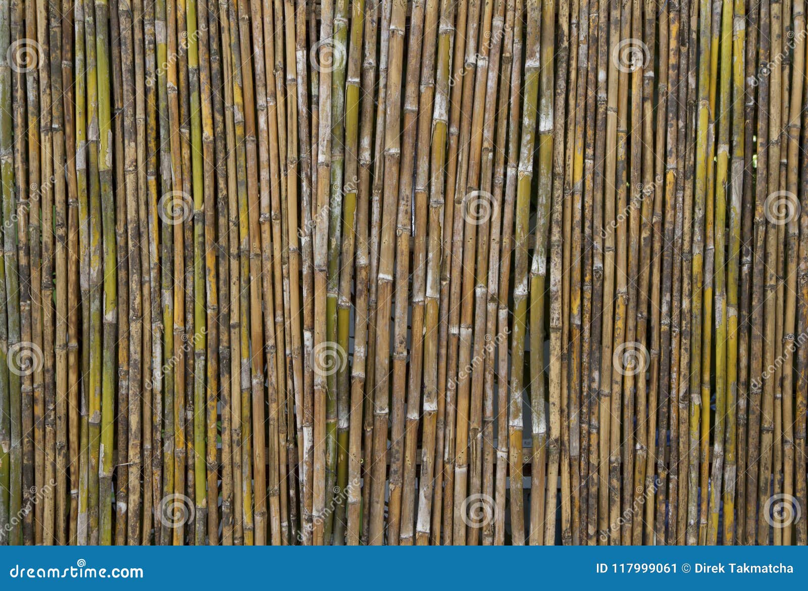 Textura de bambu da parede imagem de stock. Imagem de textura - 117999061