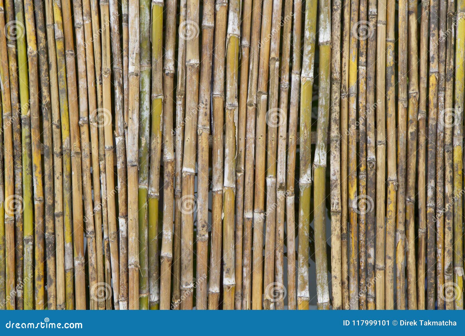 Textura de bambu da parede imagem de stock. Imagem de tropical - 117999101