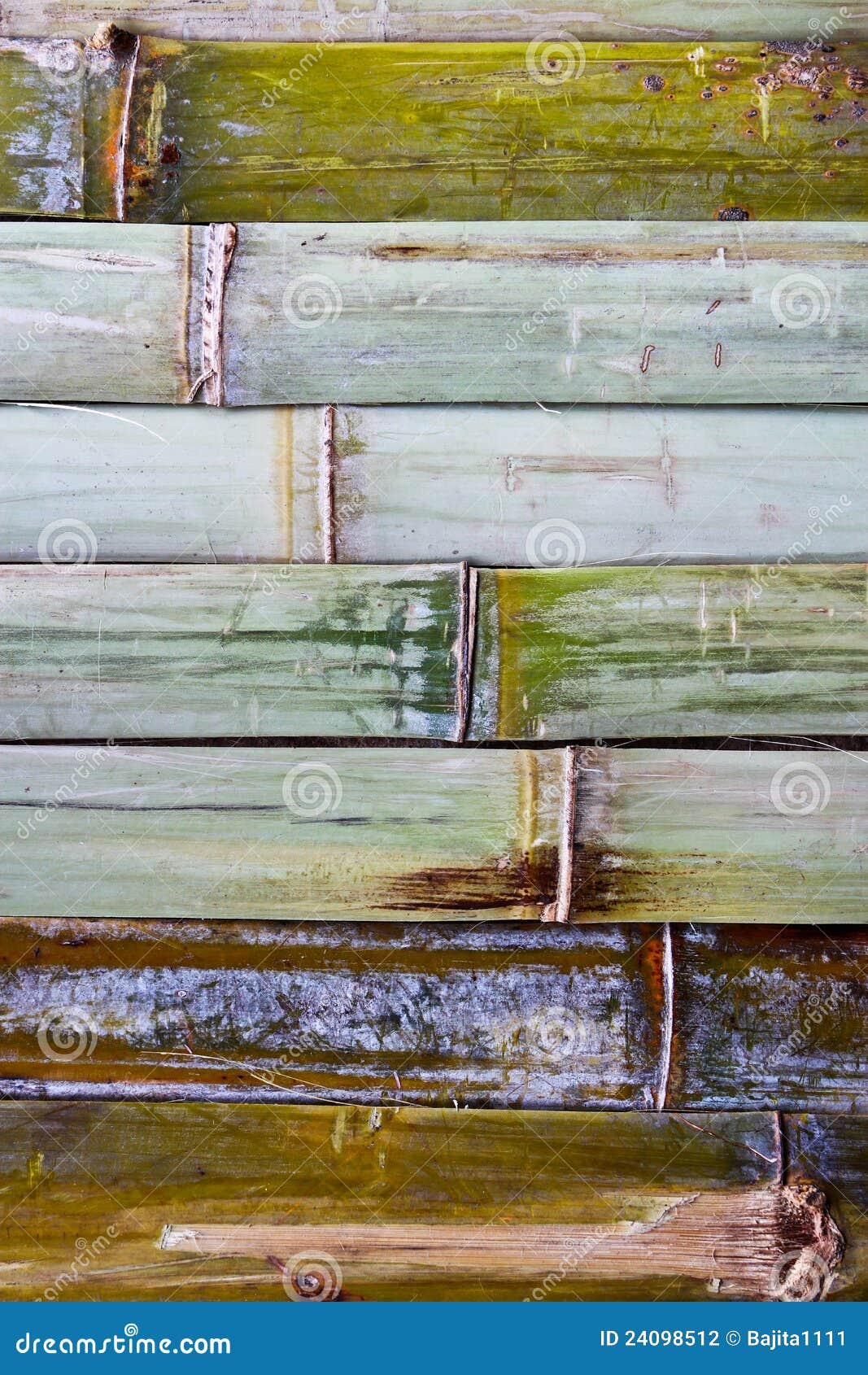 Textura de bambu da parede foto de stock. Imagem de tropical - 24098512