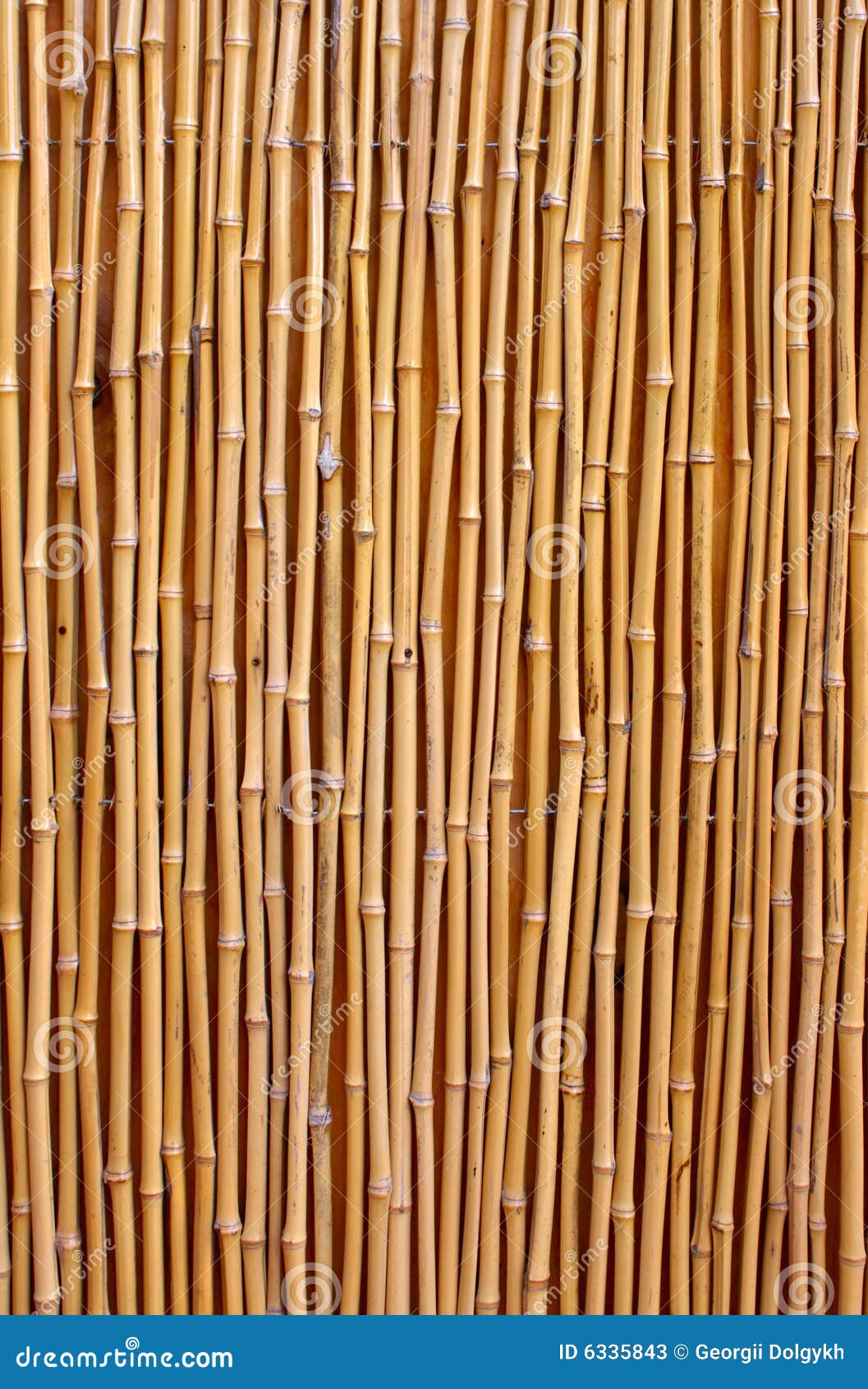 Textura de bambu natural imagem de stock. Imagem de textura - 6335843