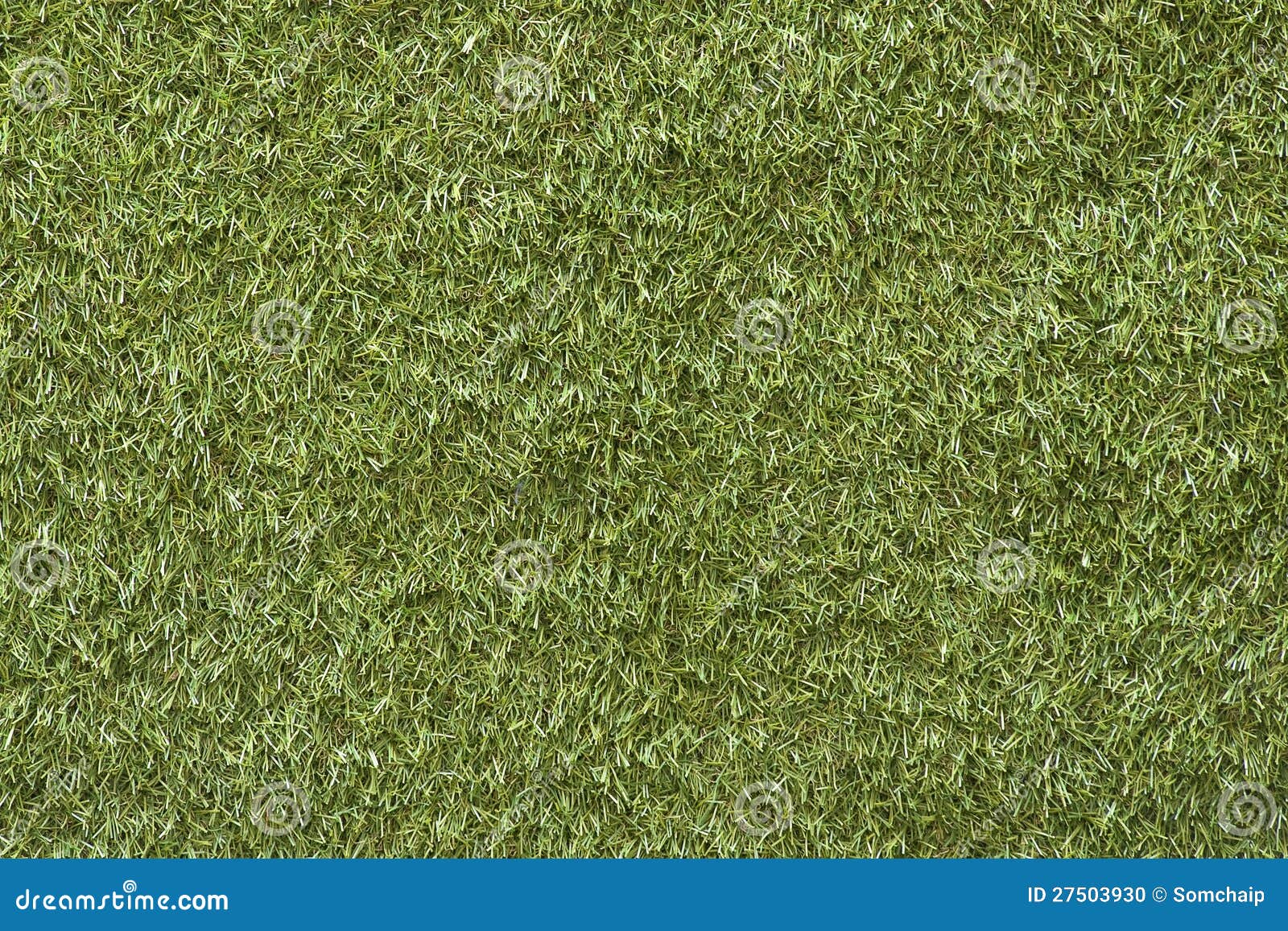 Textura De Color Verde Oscuro De La Hierba Foto de archivo - Imagen de ...