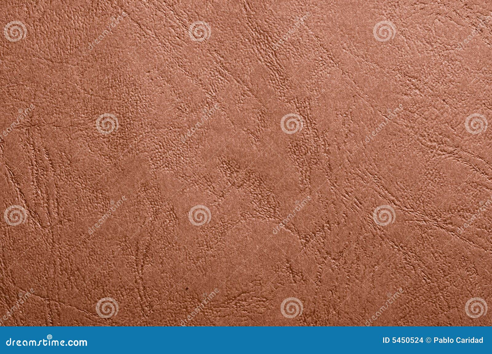 Textura de cuero foto de archivo. Imagen de macro, material - 5450524