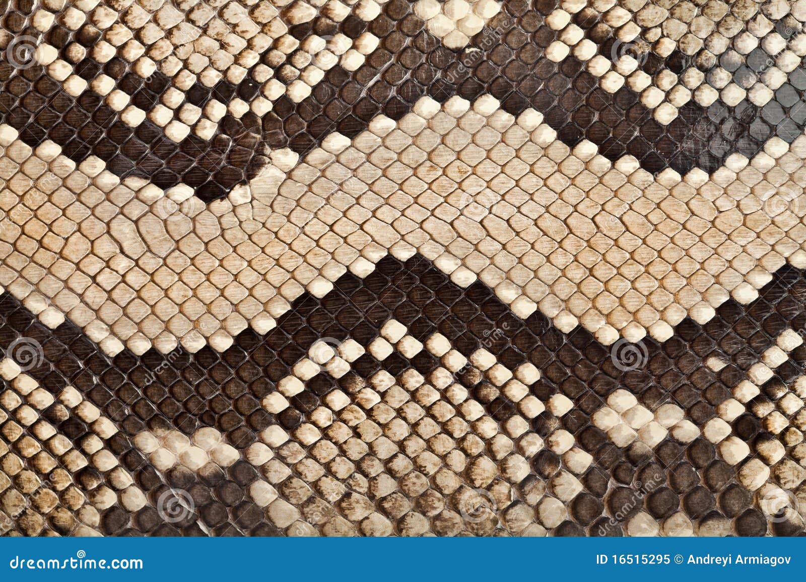 Textura De Cuero De La Serpiente Imagen de archivo - Imagen de ...