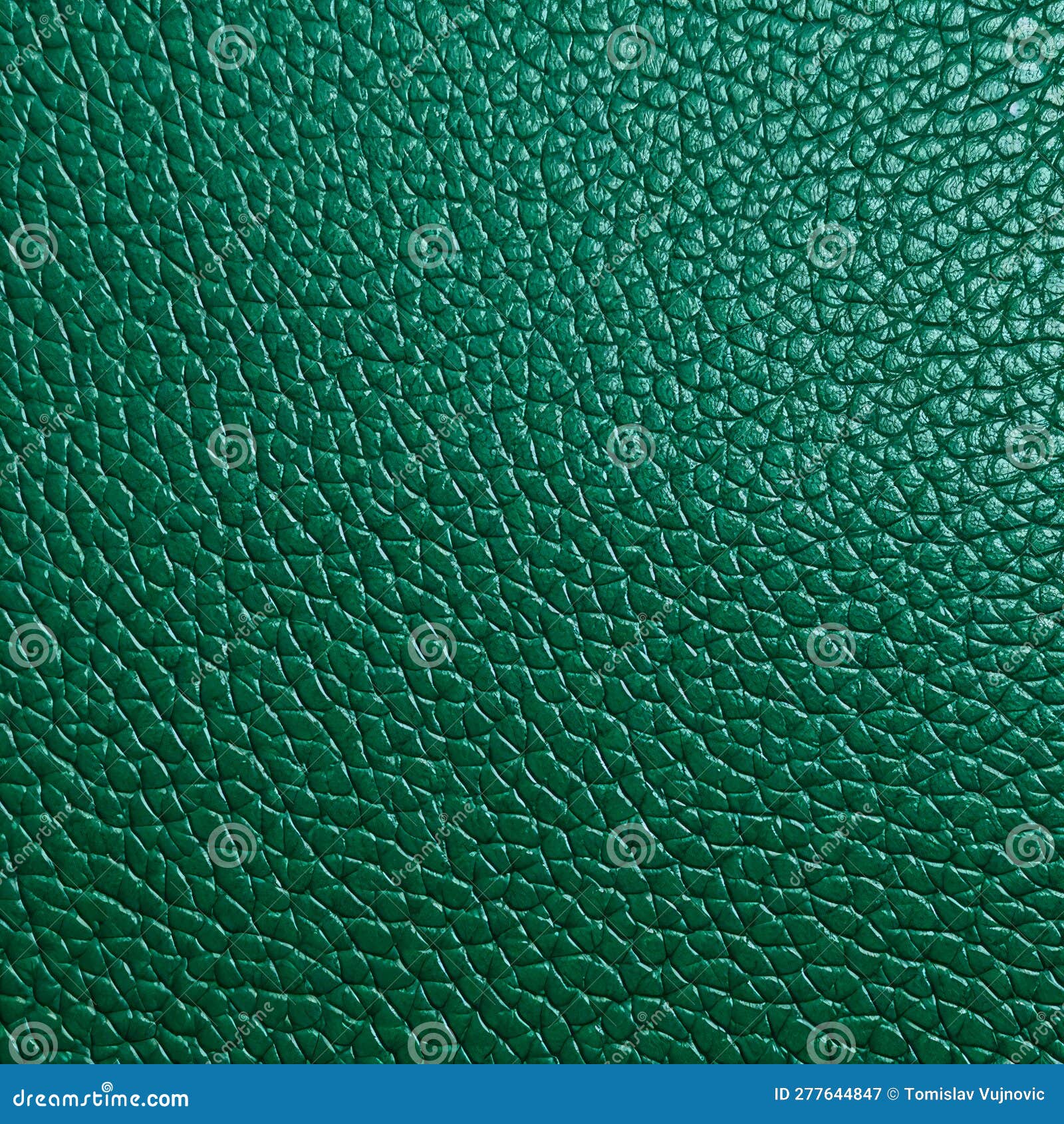 Textura De Cuero Verde En Blanco Stock de ilustración - Ilustración de ...