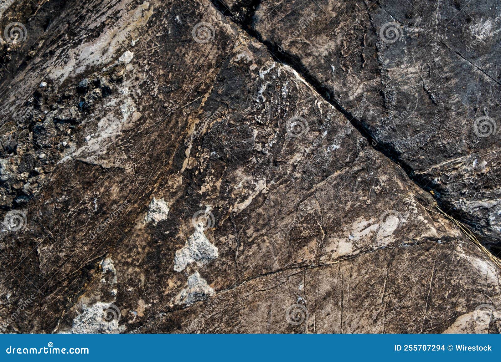 Textura De Fondo Gris De Roca Foto de archivo - Imagen de suelo, piedra ...