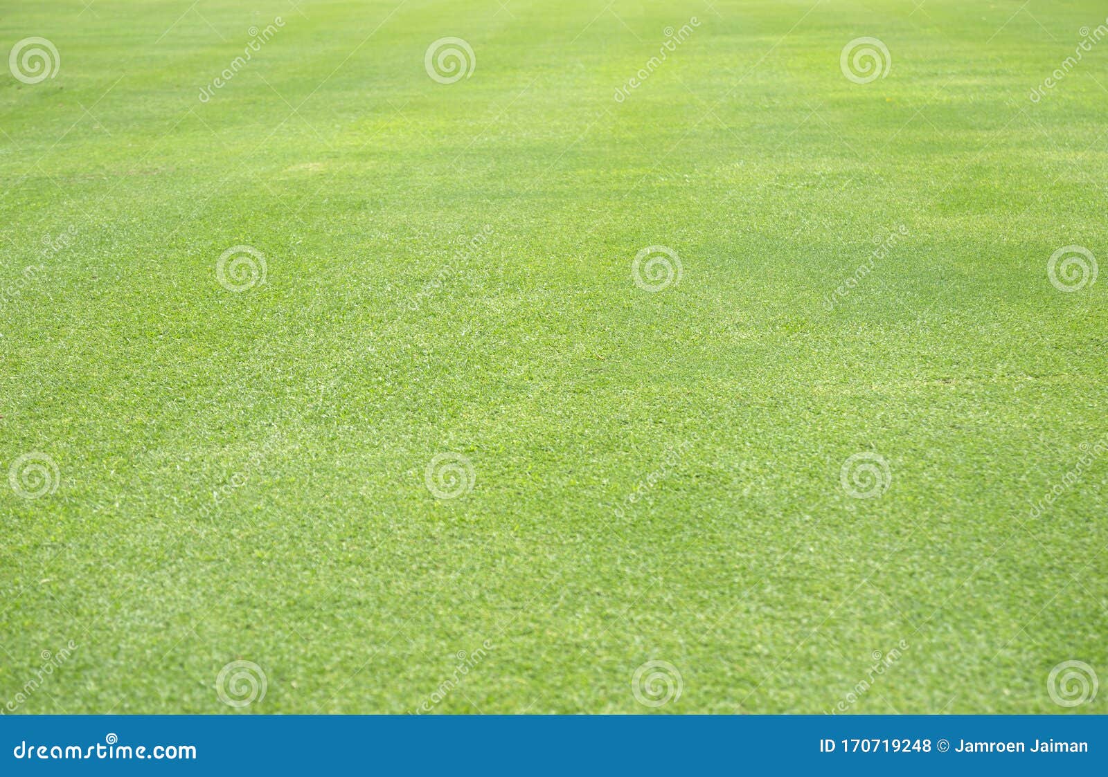 Textura De Fundo Da Relva Verde Textura Verde Do Gramado Foto de Stock ...