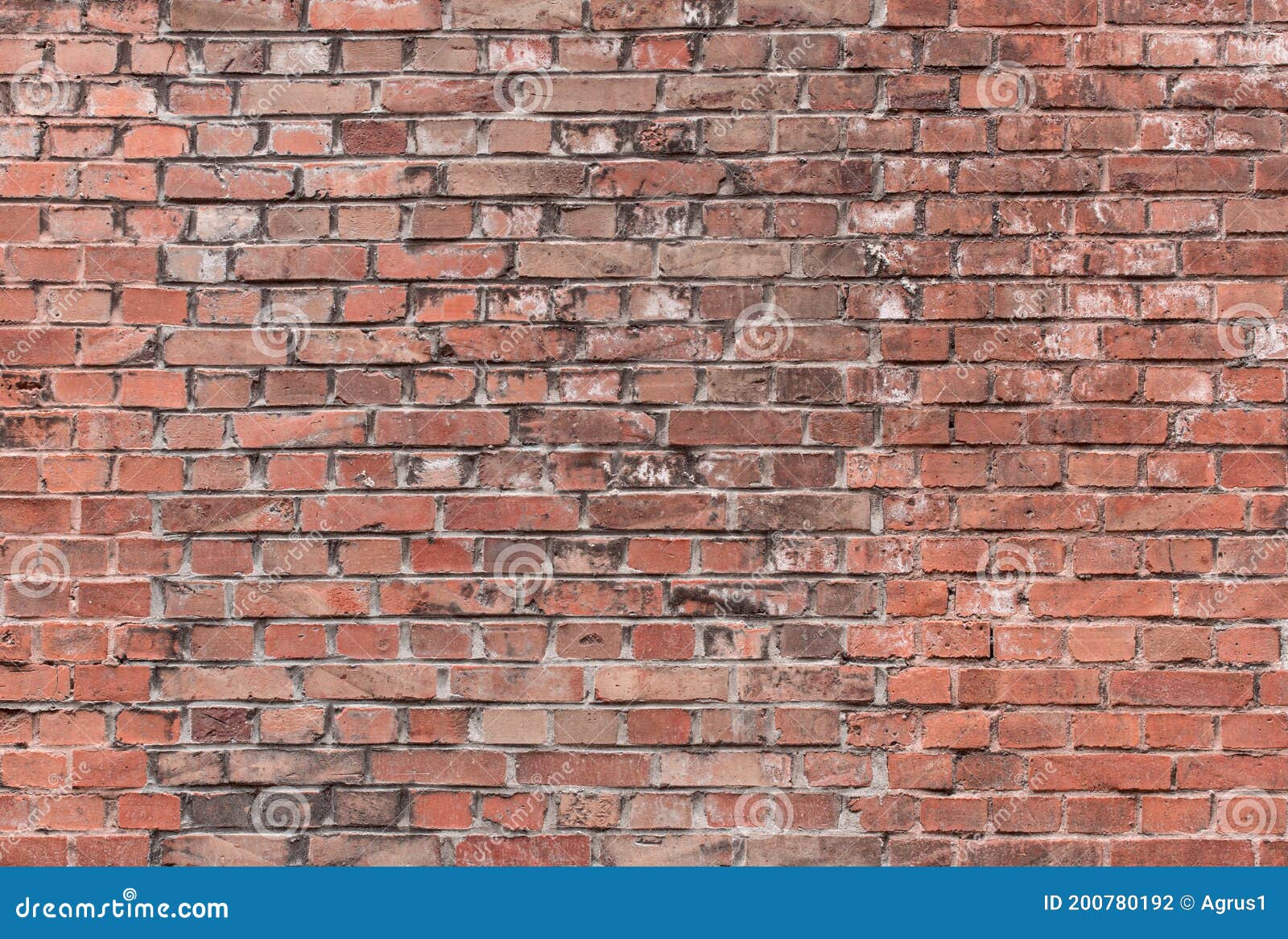 Textura De Fundo De Tijolos Vermelhos Antigos Foto De Stock Imagem De