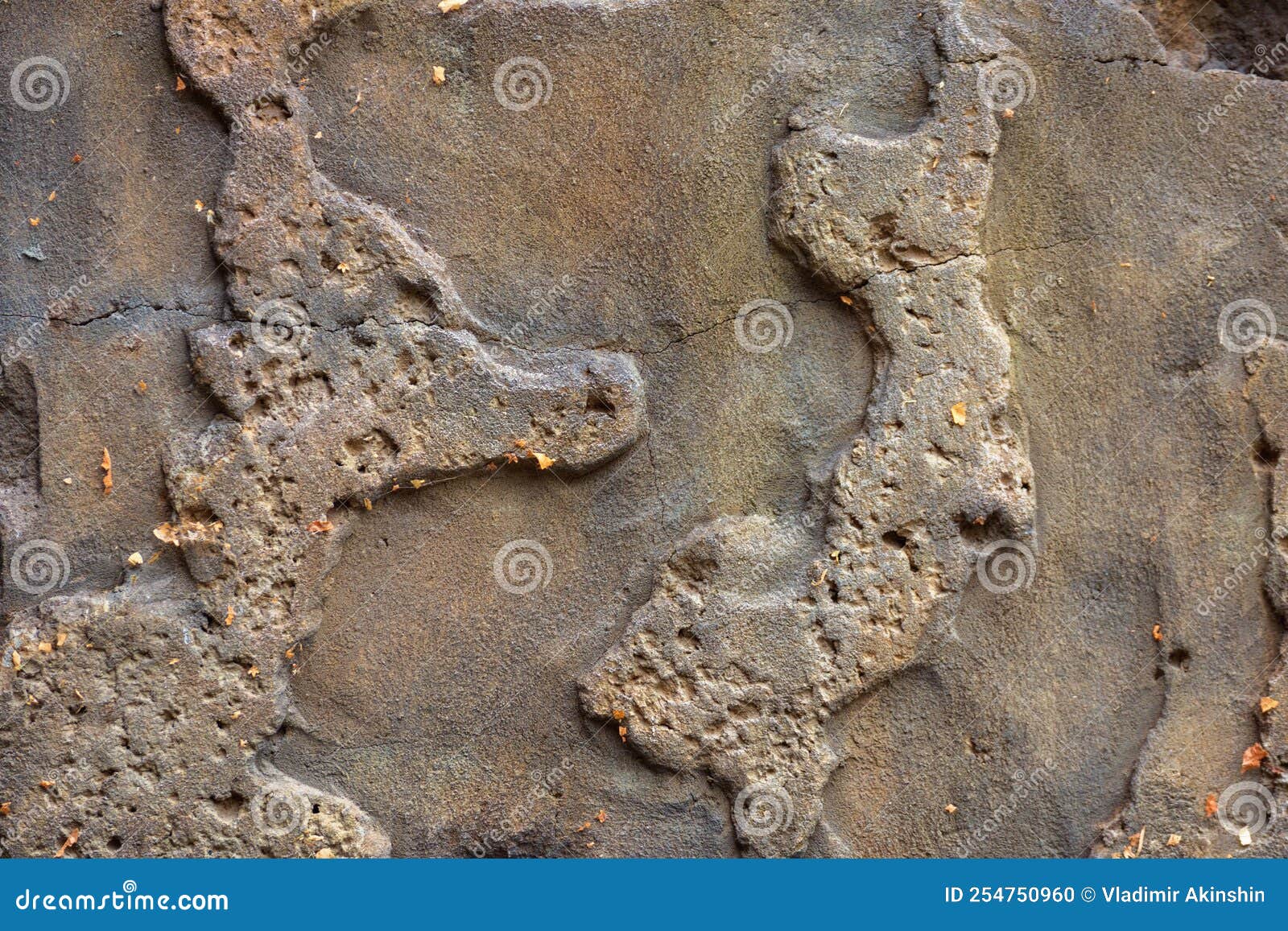 Textura De Granito Natural Pulido Foto de archivo - Imagen de efecto ...