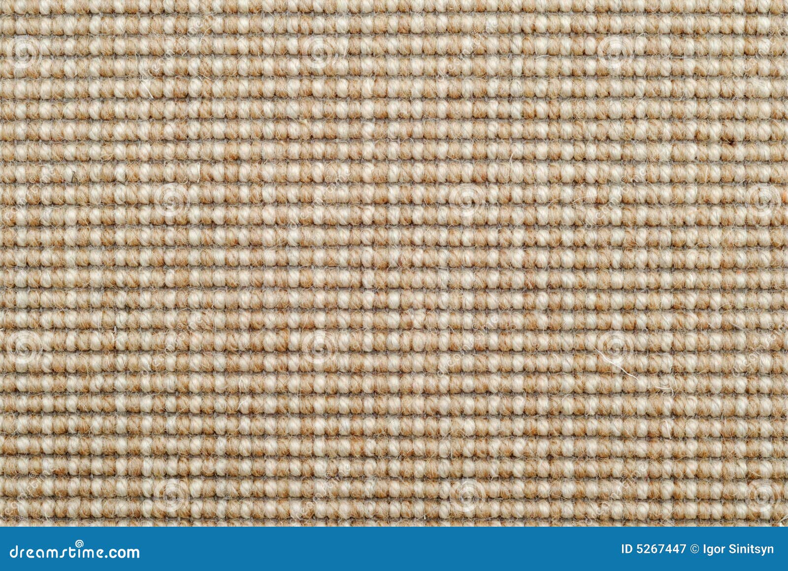 Textura de la alfombra imagen de archivo. Imagen de trapo - 5267447